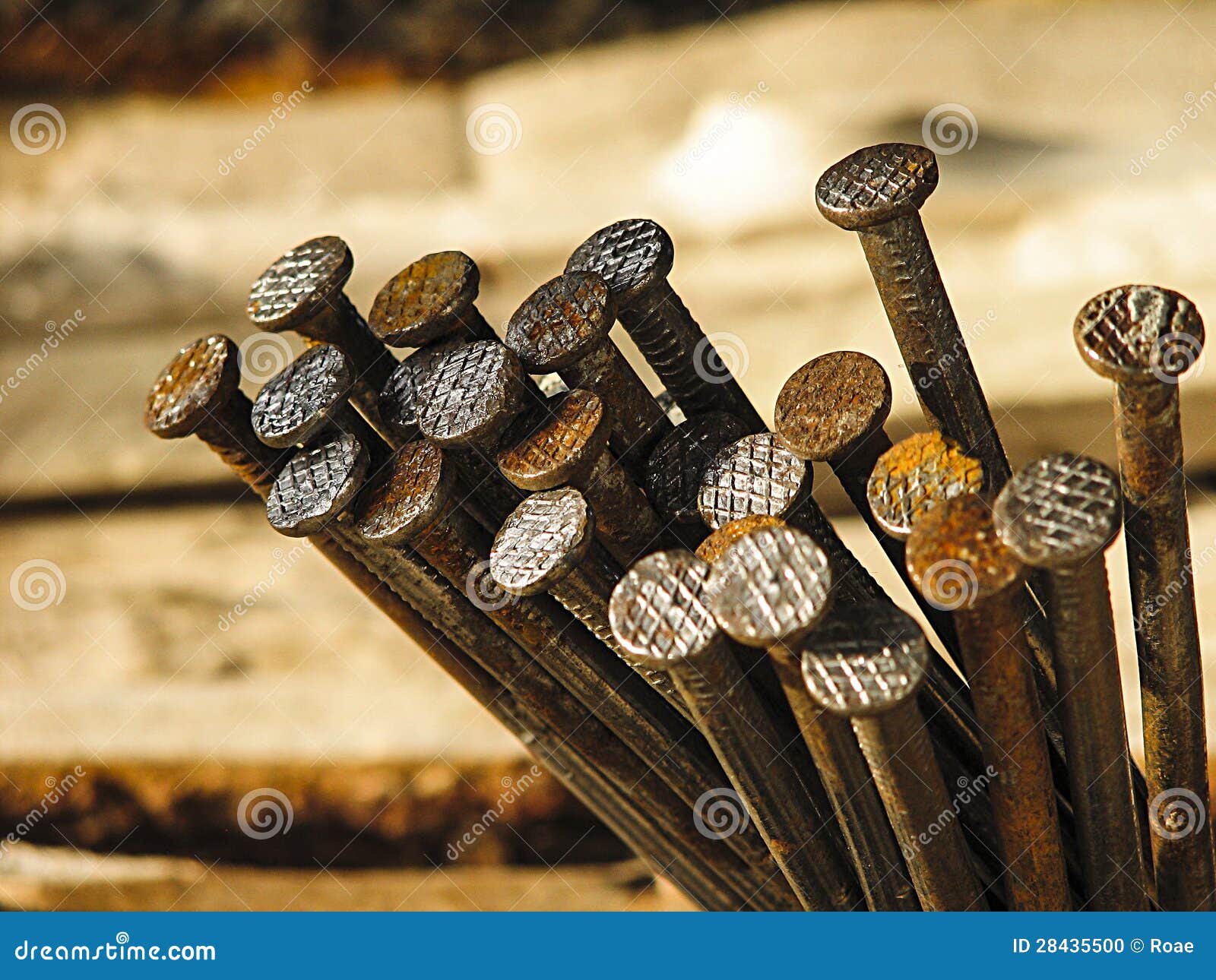 Rusty nails stock photo. Image of blank, grain, iron - 28435500