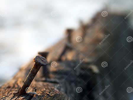 Rusty Nails stock photo. Image of still, rusty, nail, rust - 475318