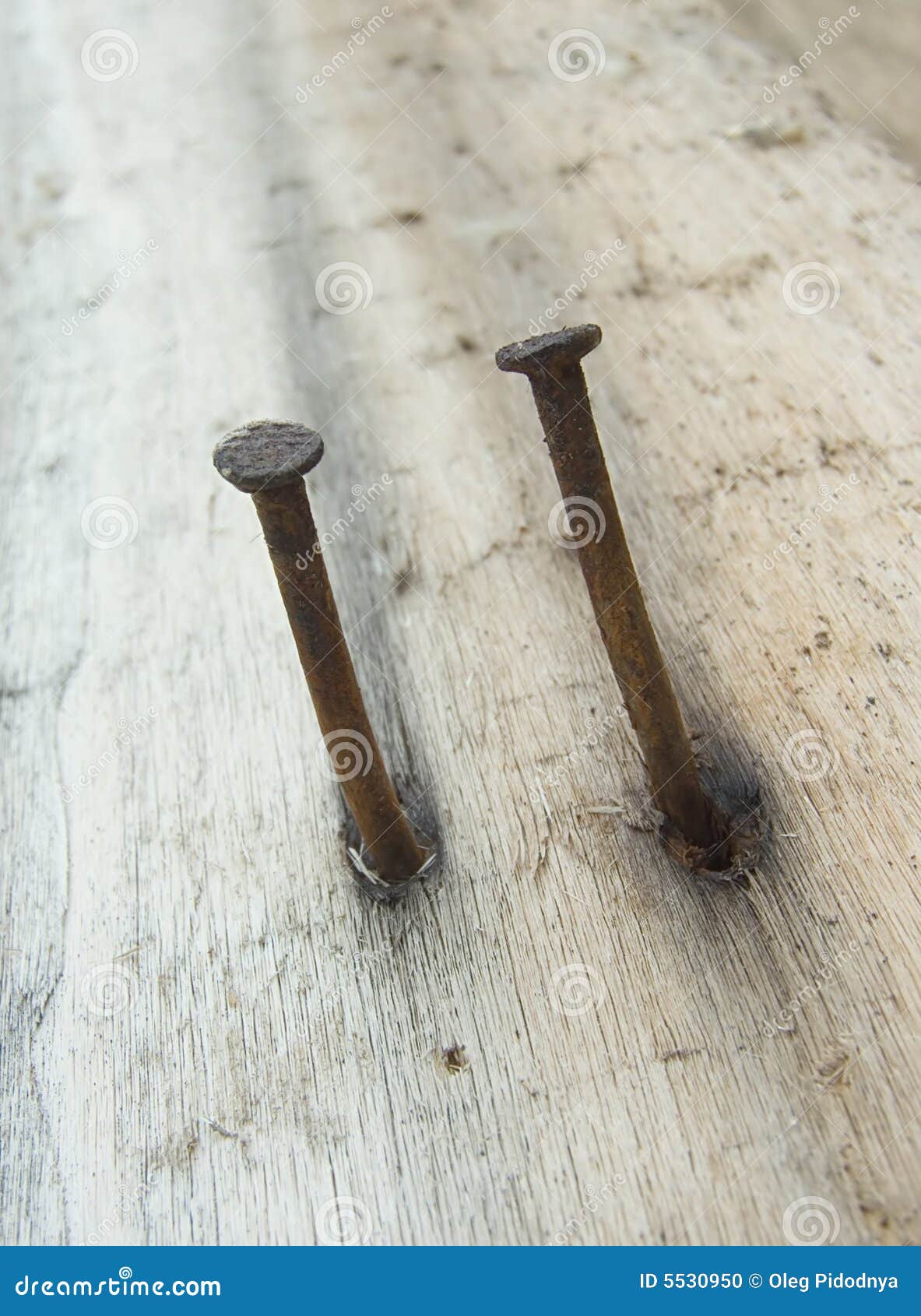 Rusty nails stock photo. Image of lumber, plank, grungy - 5530950