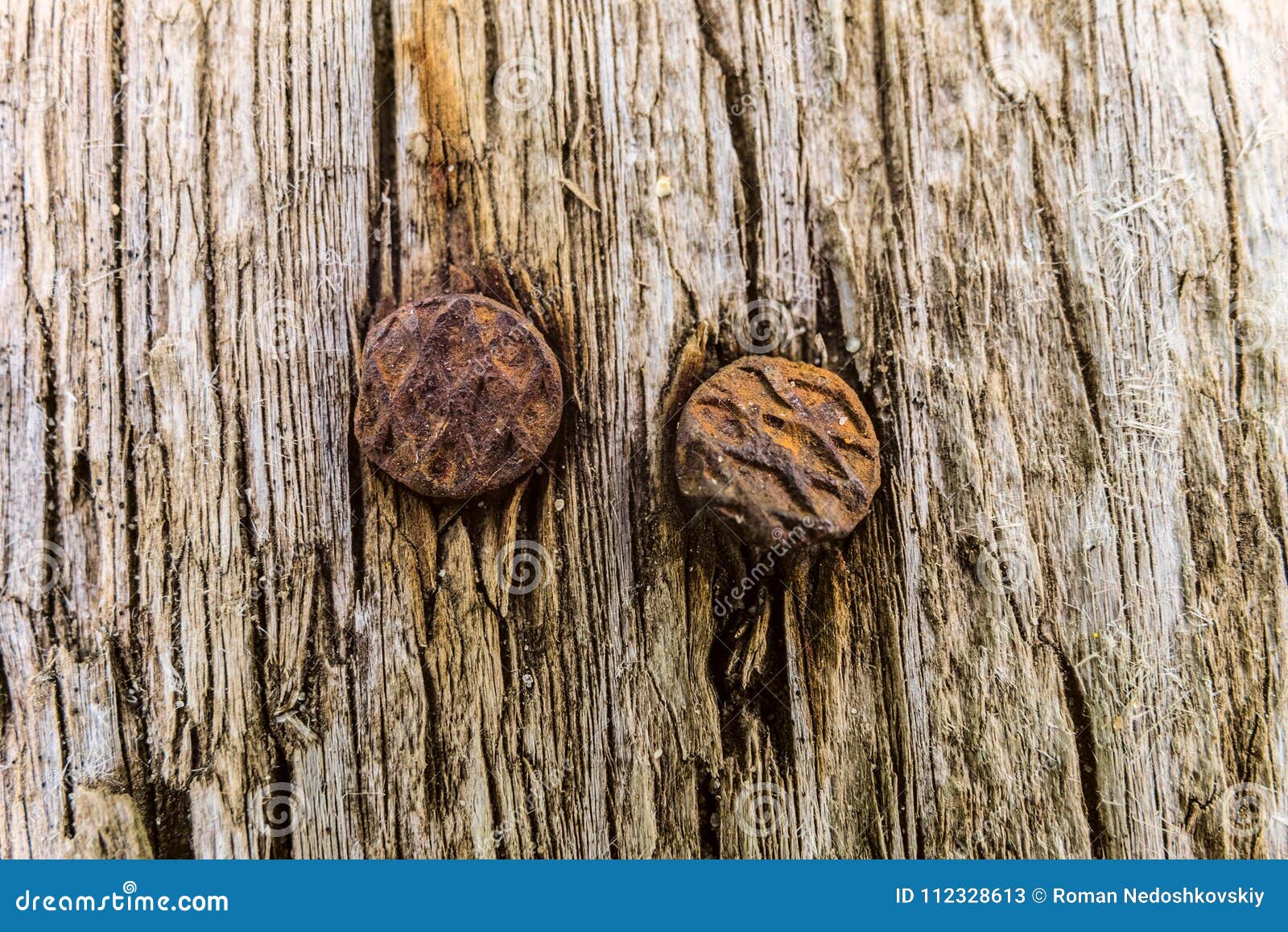 Rusty Nails in Old Wooden Board Close-up Stock Image - Image of plank ... Rusty Nails in Old Wooden Board Close-up Stock Image - Image of plank ...