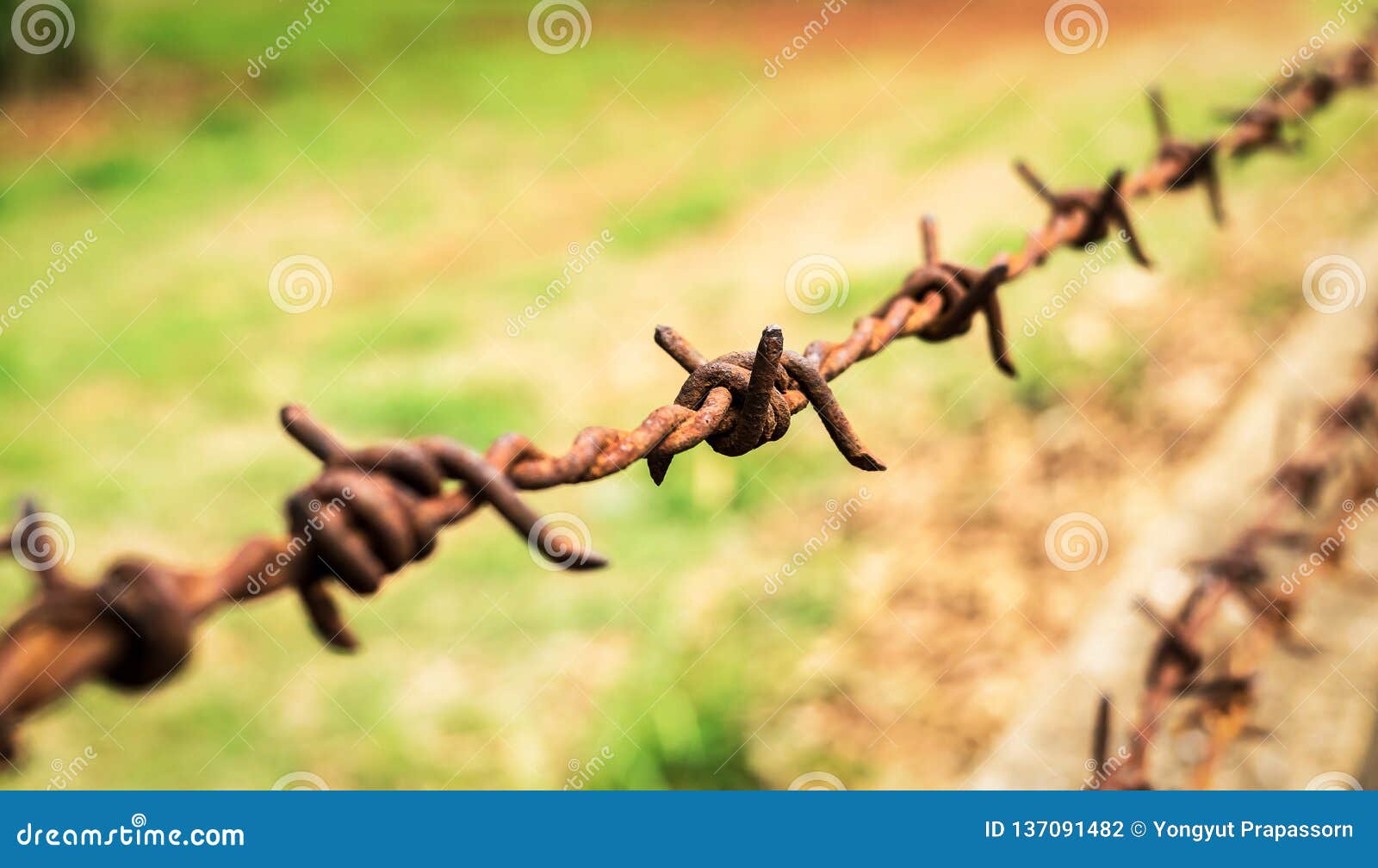 Rusty Old Barbed Wire Fence Stock Photo - Image of protection, barrier ...