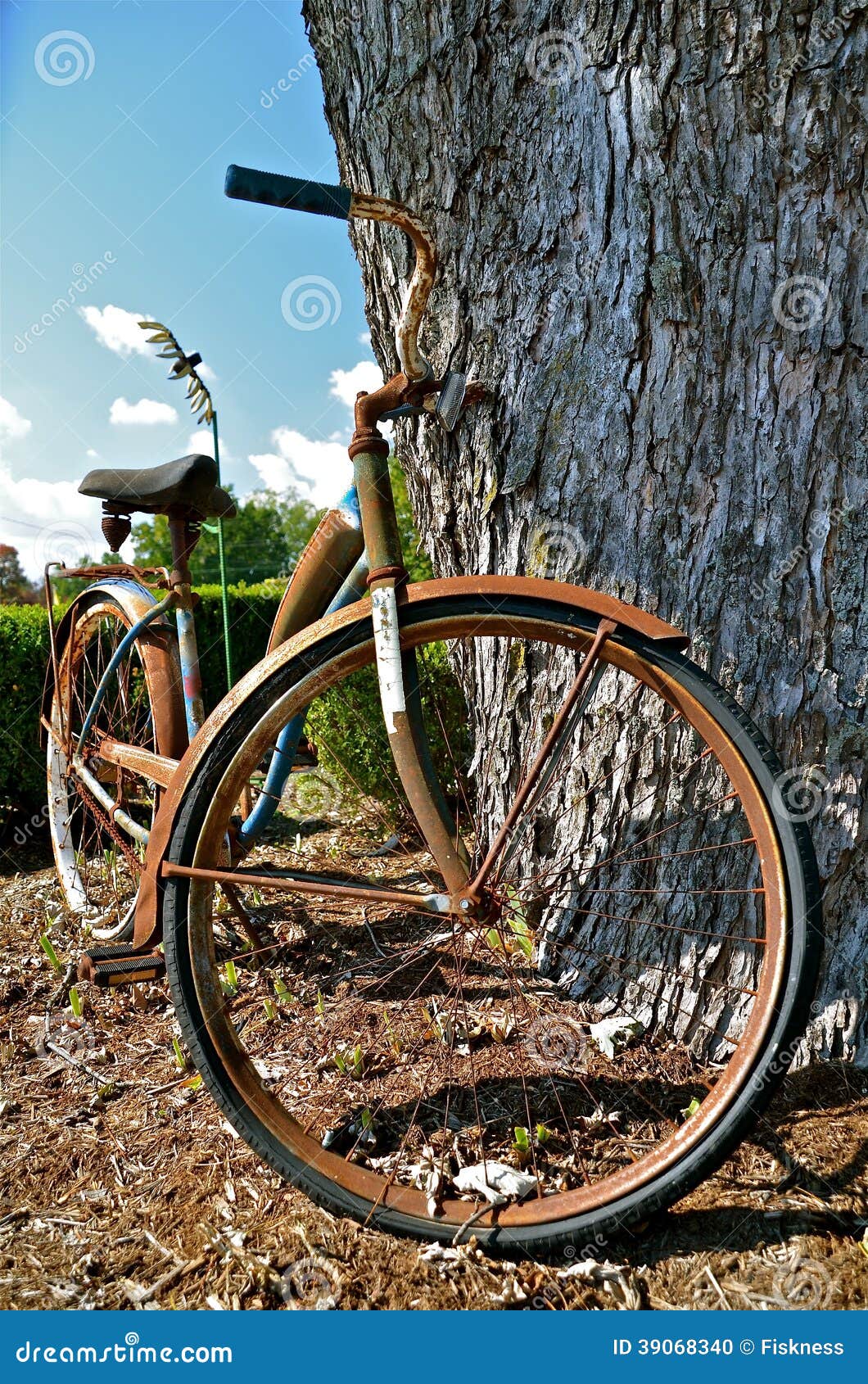 Rusty Old Bike stock photo. Image of massive, pedaling - 39068340