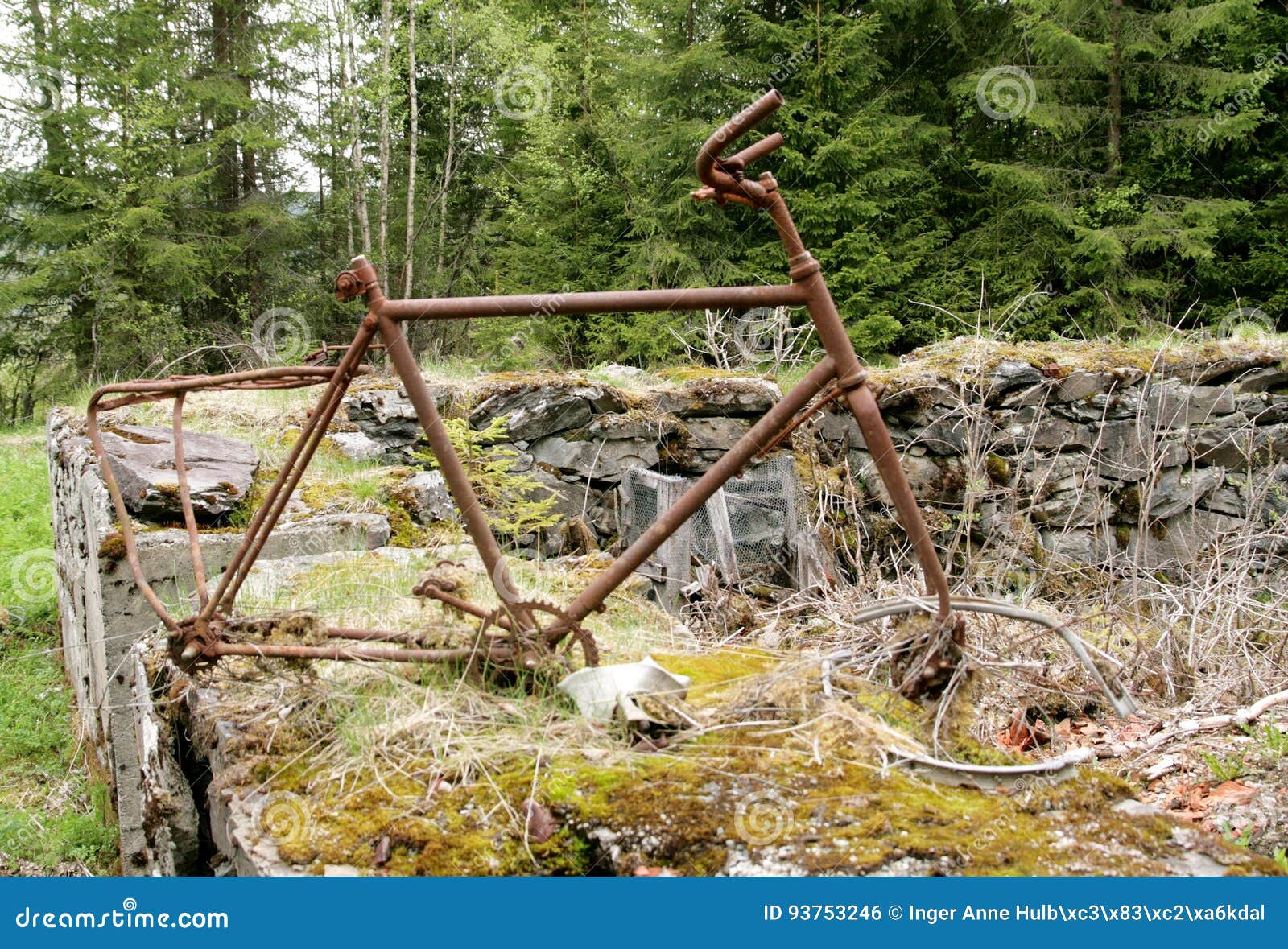 Rusty old bike stock photo. Image of house, spring, rusty - 93753246