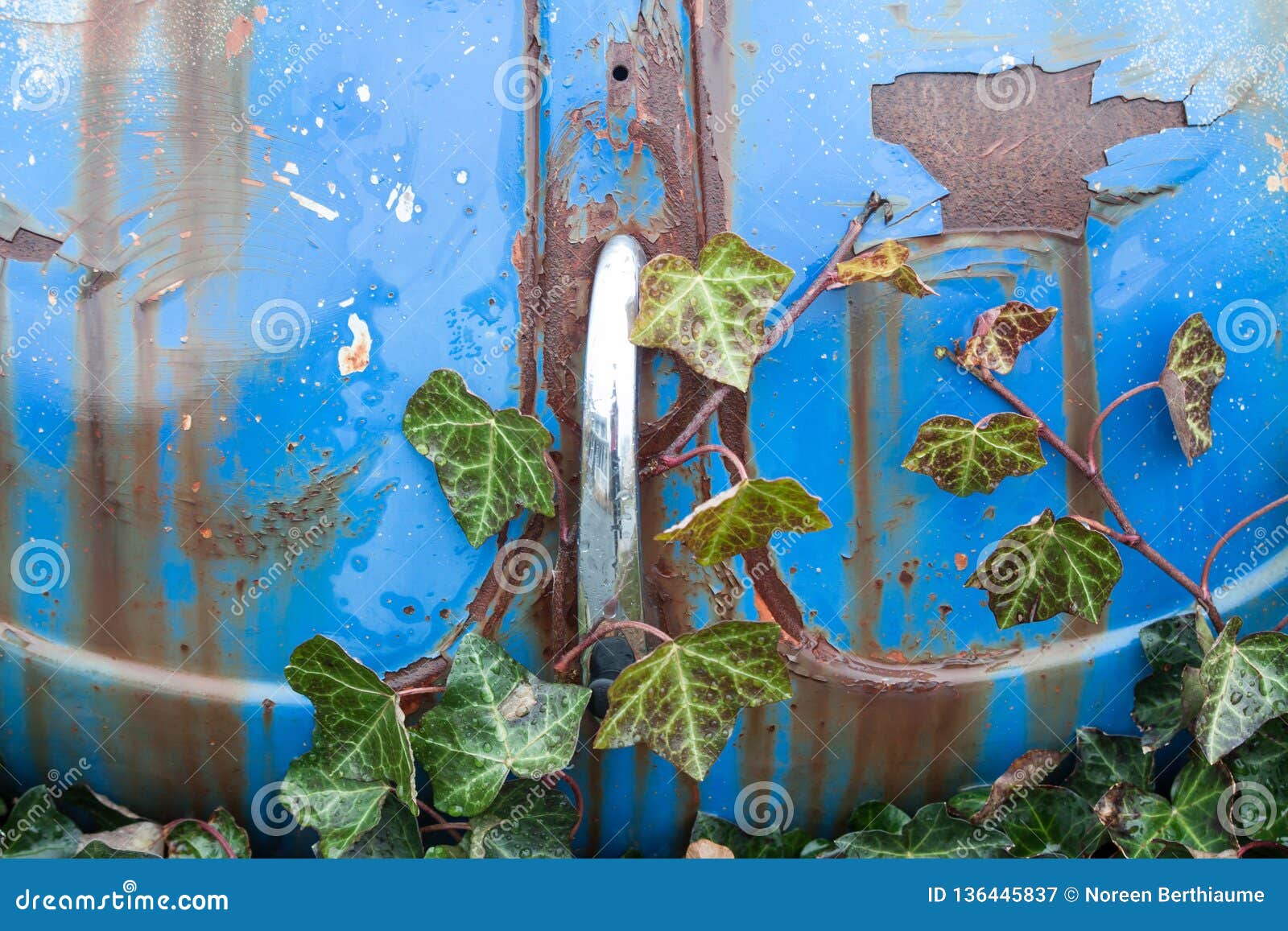 Rusty Old Blue Volkswagon Bug Stock Image - Image of rust, junk: 136445837
