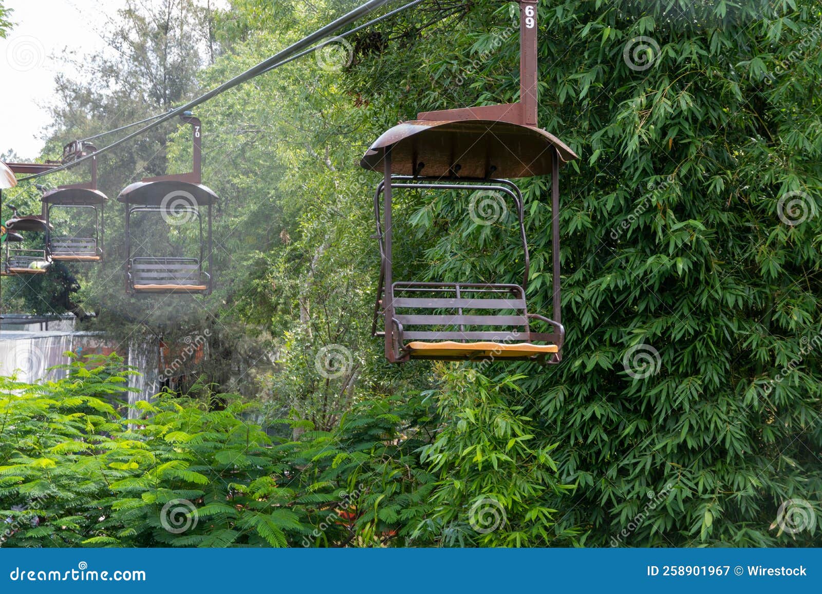 Rusty Old Cable Car in a Forest with Trees Stock Image - Image of ...