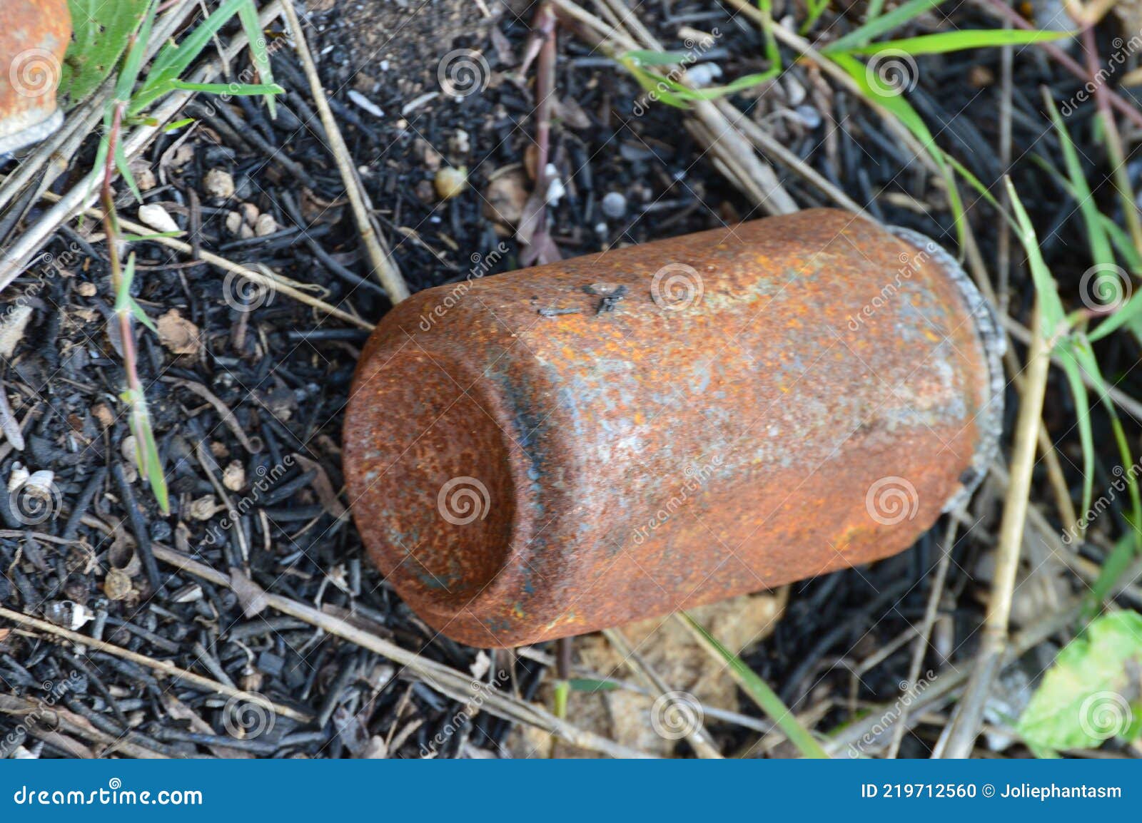 Rusty Old Can on Green Grass Stock Photo - Image of glory, green: 219712560