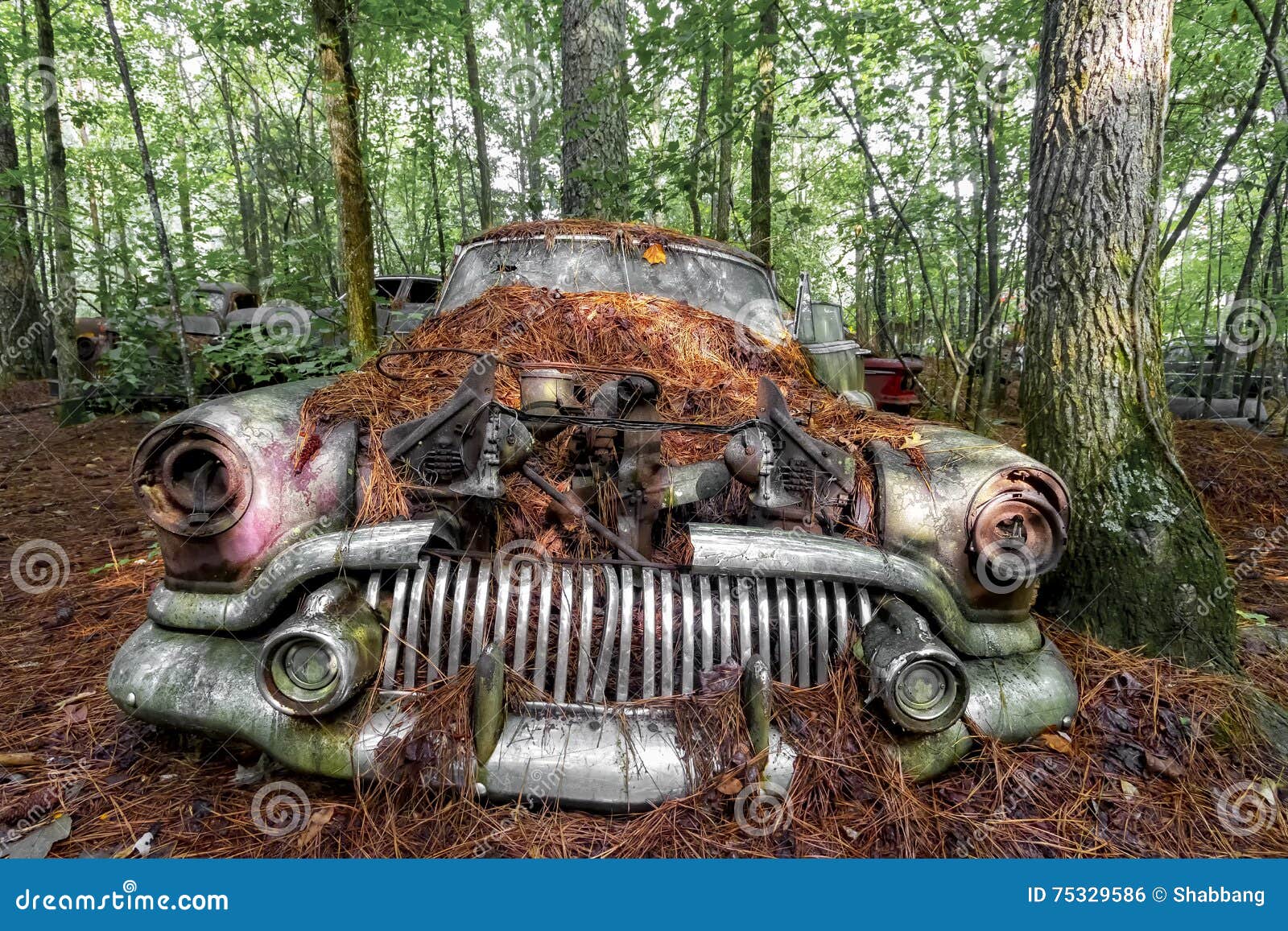 Abandoned Old Car in Forest Stock Photo - Image of front, retro: 75329586