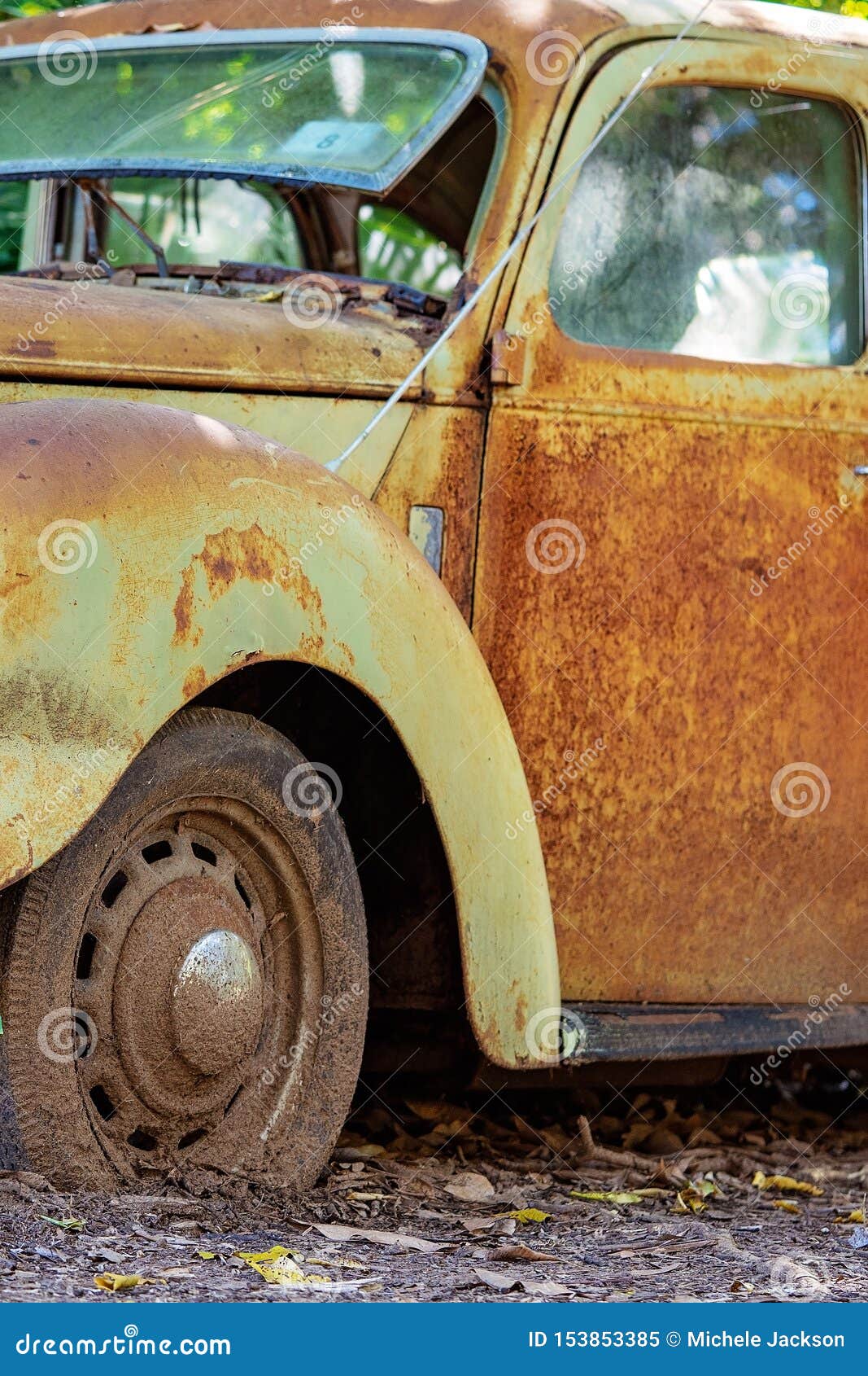 Rusty Old Car Rotting Away in a Forest Stock Image - Image of auto ...