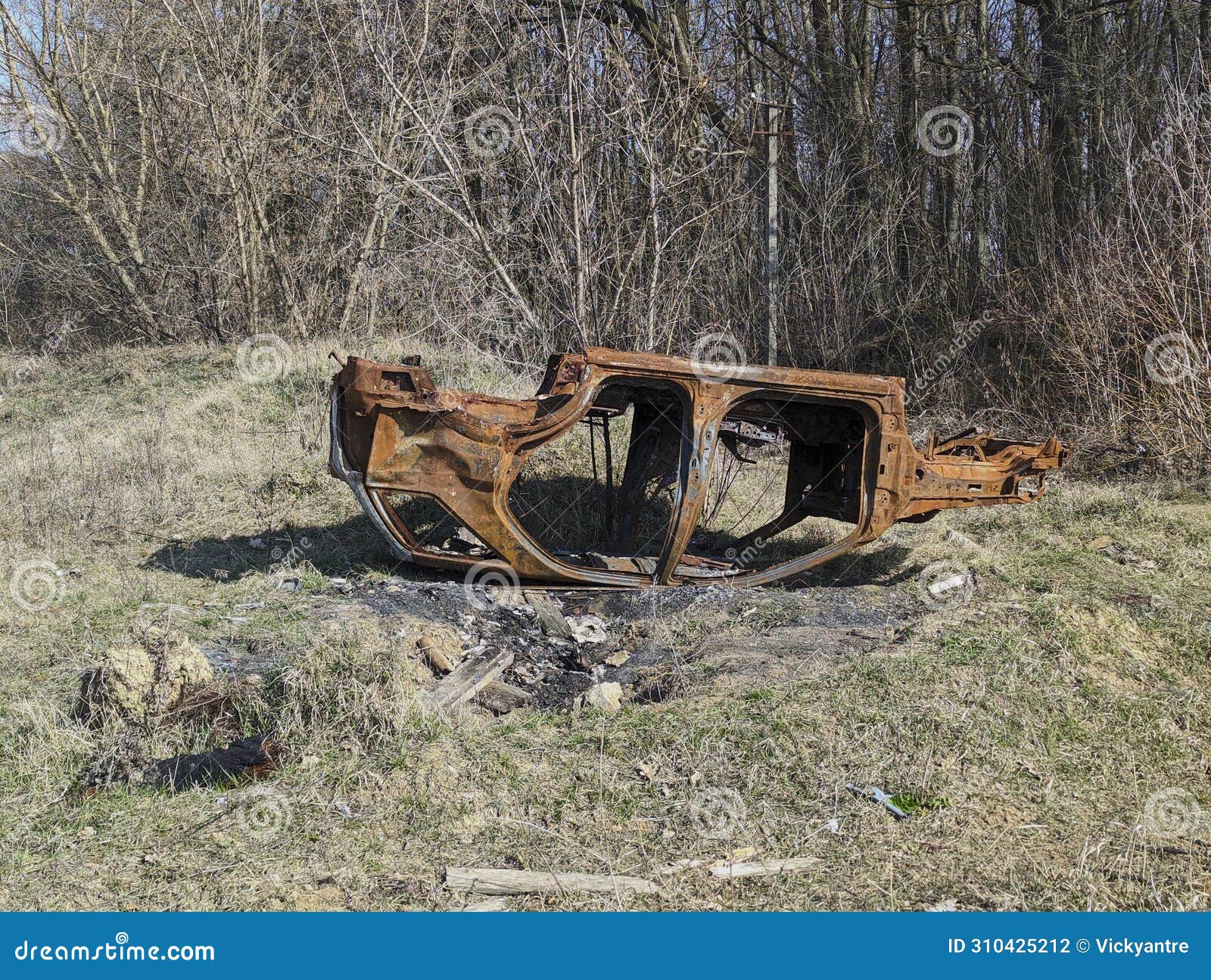 Rusty Old Car Upside Down in the Spring Forest Stock Photo - Image of ...