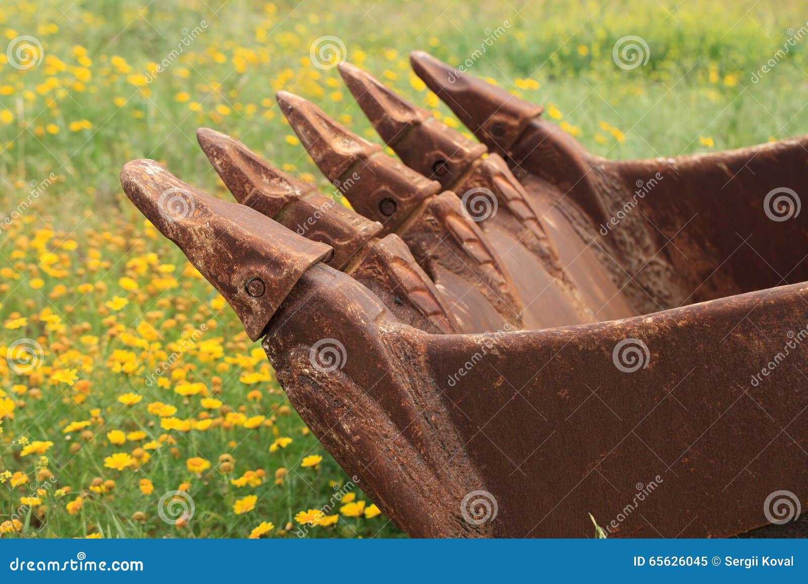 Rusty Old Excavator Bucket Close-up on the Field. Horizontal Stock ...