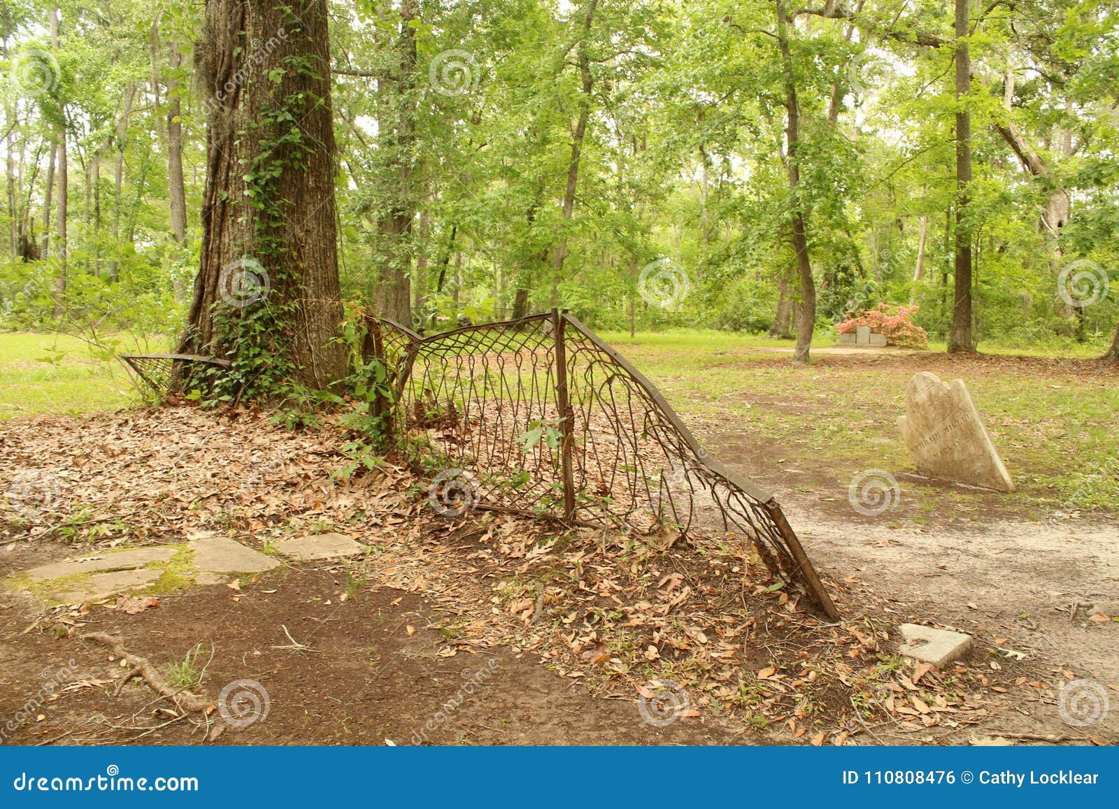 Old Fence Falling Down in a Park Stock Photo - Image of falling, yard ...