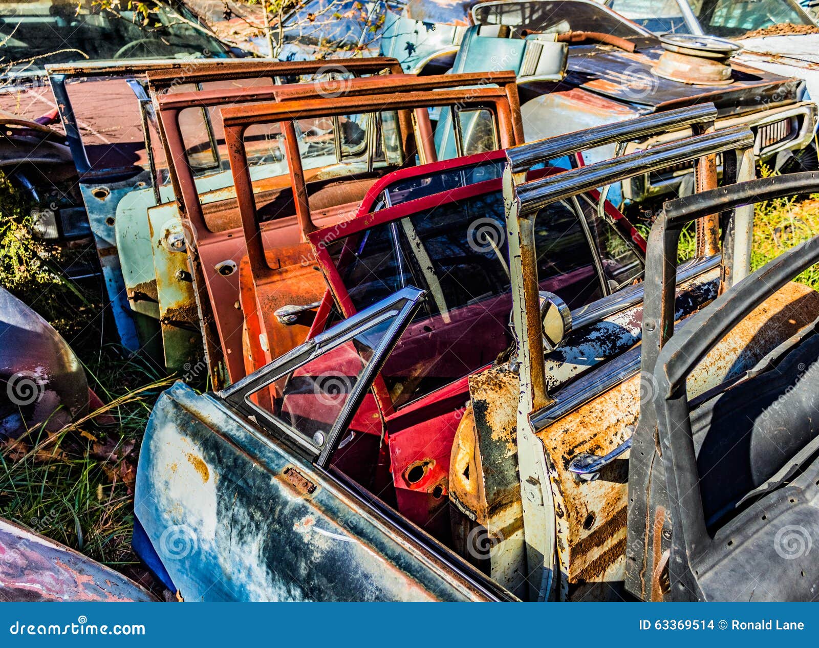 Rusty, Old, Junked Car Doors in the Woods Stock Photo - Image of ...