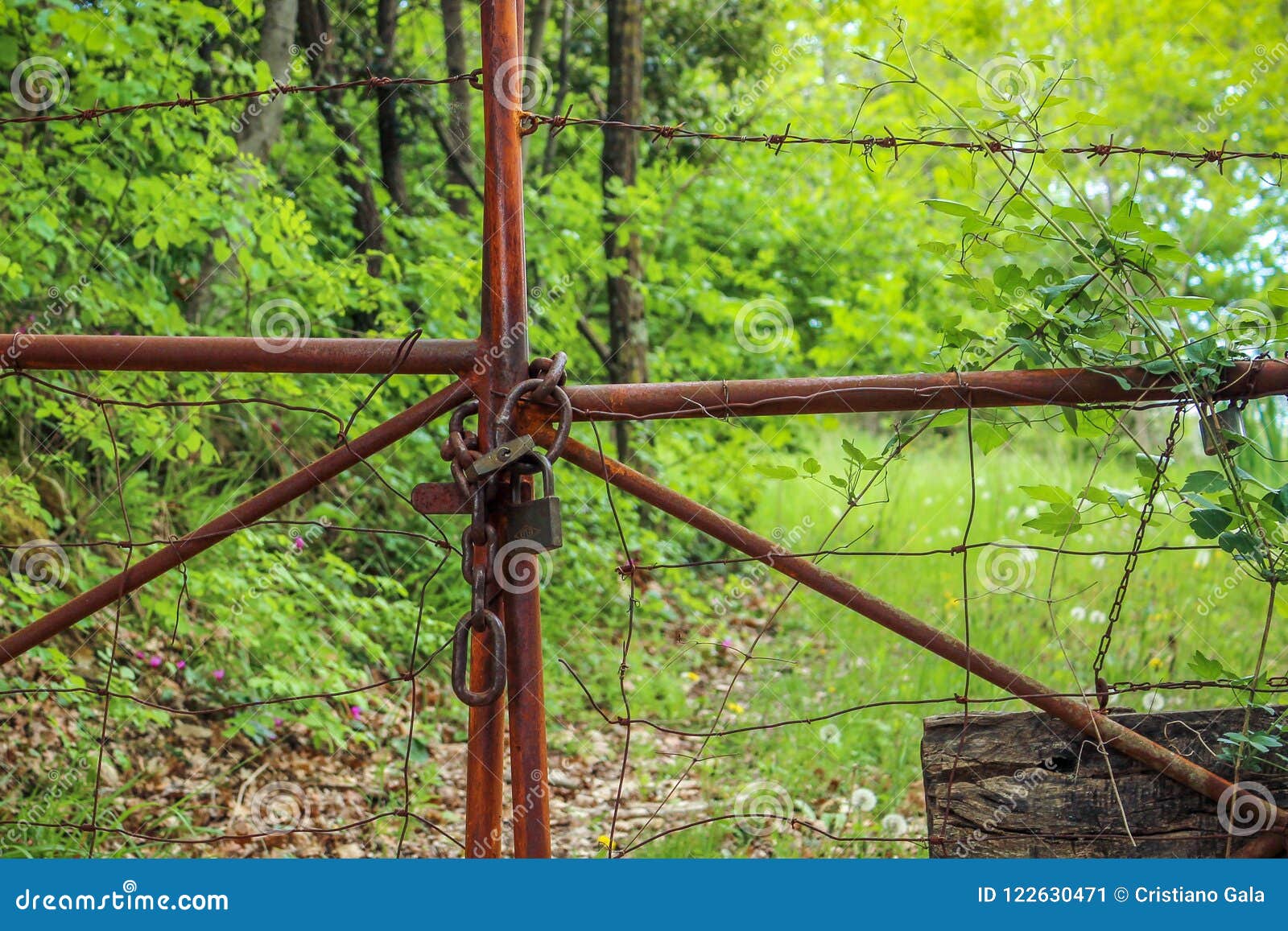 Rusty Old Locked Gate in Nature Stock Image - Image of access, close ...