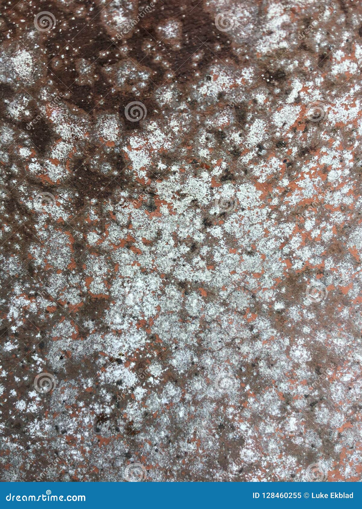 Rusty Old Metal Pattern Texture Stock Image - Image of texture, rusty ...
