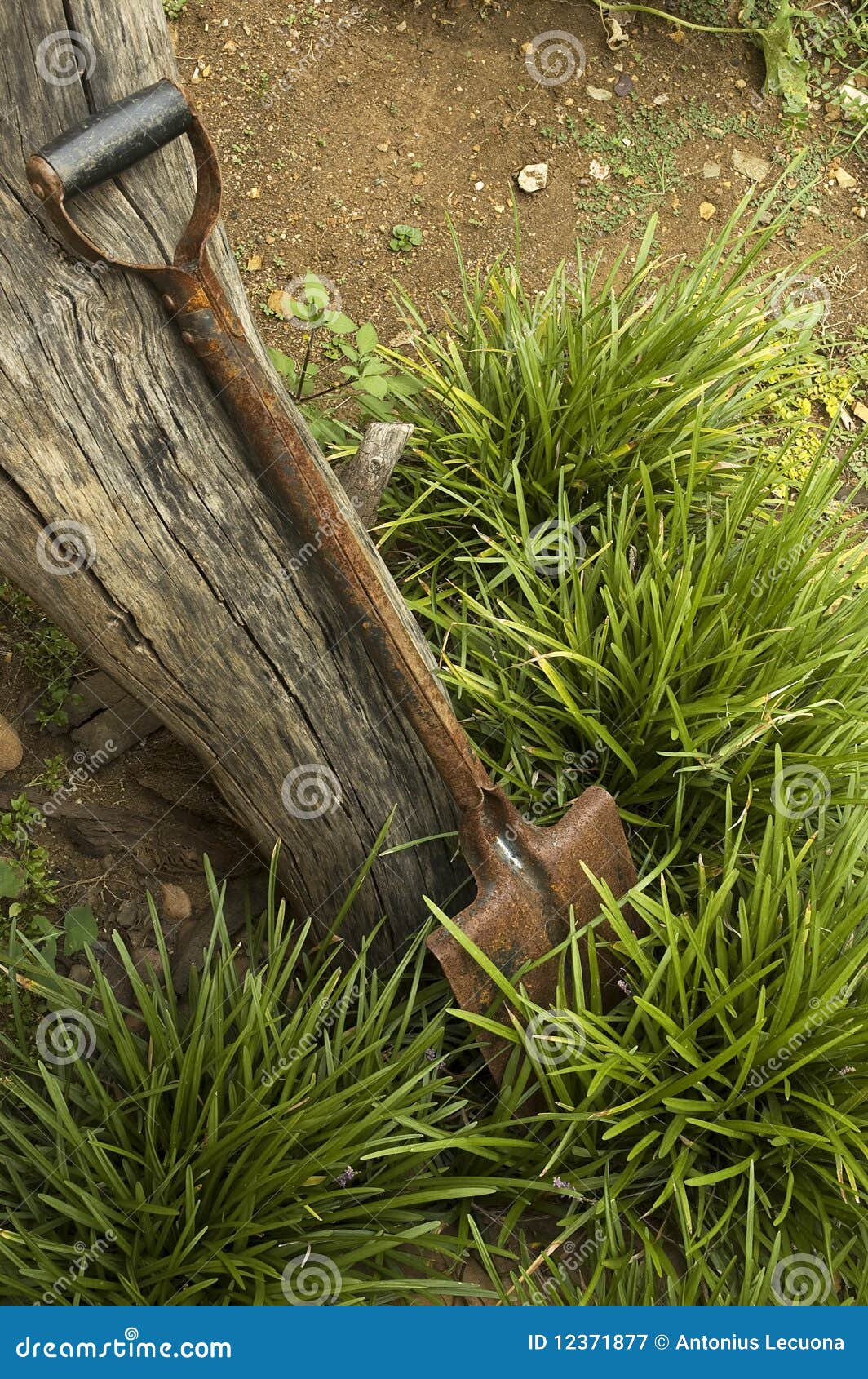 Rusty Old Spade Leaning Against Stock Image - Image of spade, tools ...