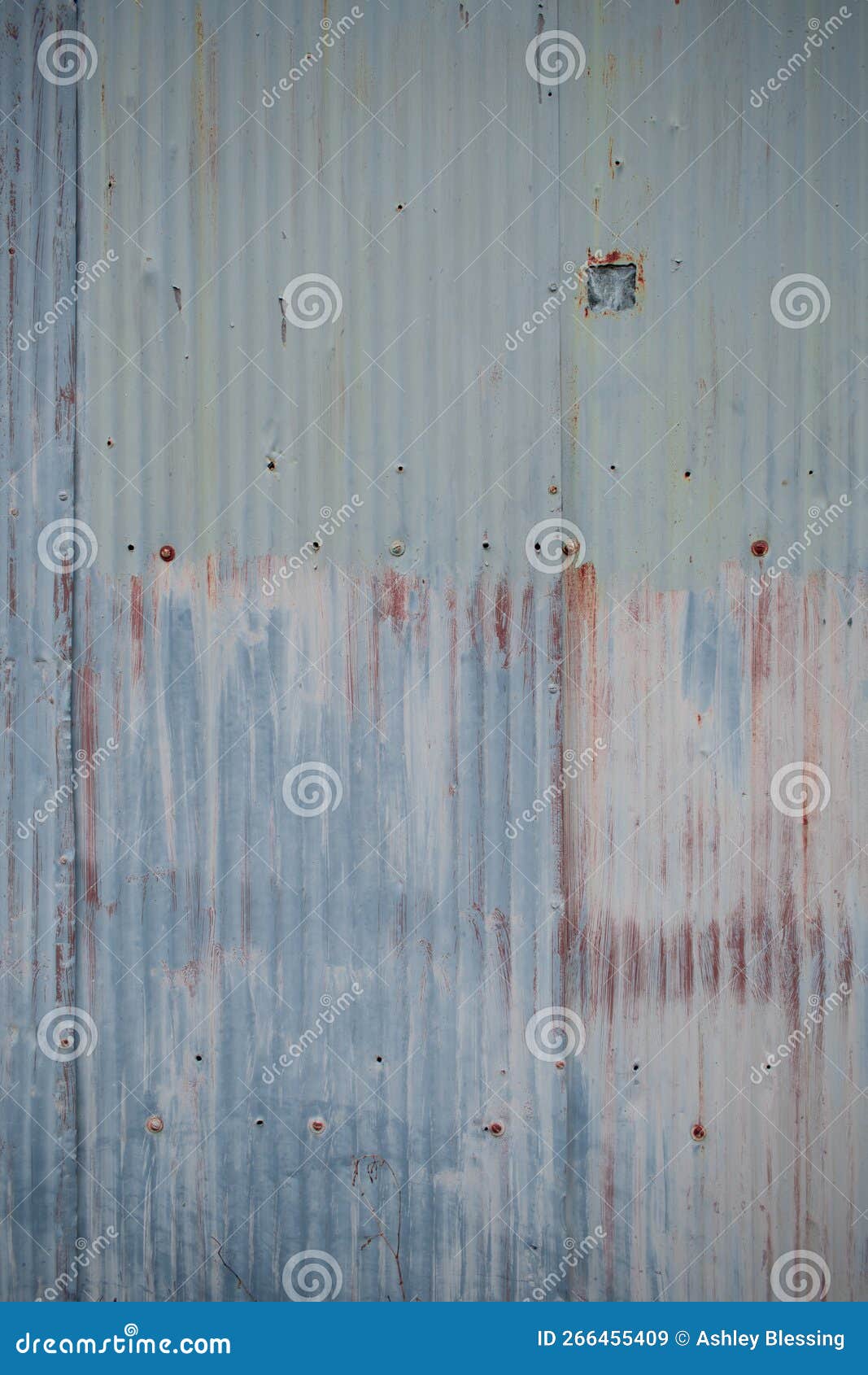 Rusty Old Tin Sheet on Run Down Storage Building Stock Image - Image of ...