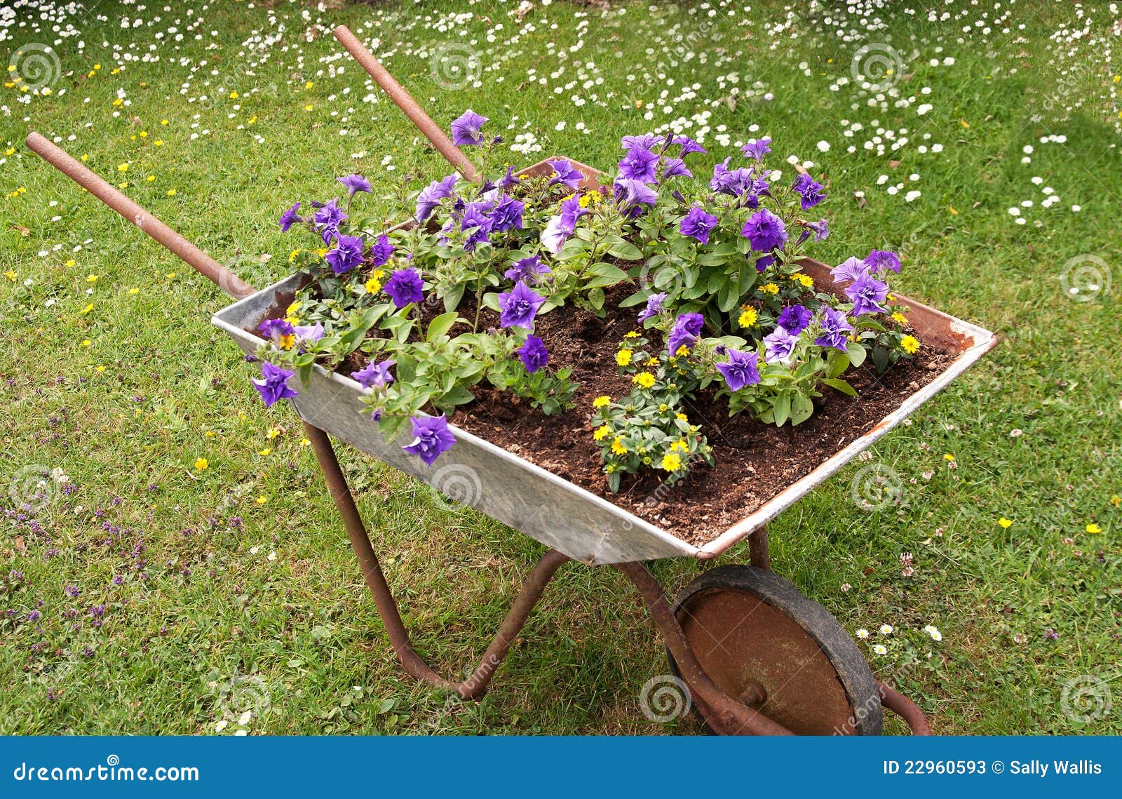 Rusty Old Wheelbarrow Transformed Stock Image - Image of yellows ...