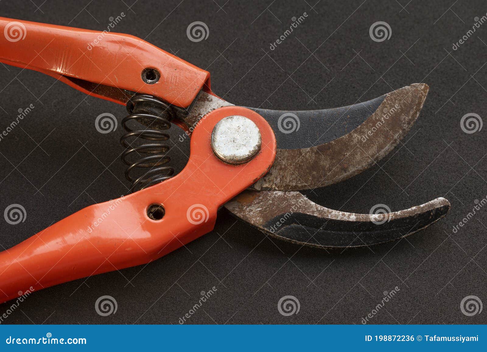 Rusty Orange Pruning Shears on Black Background Stock Photo - Image of ...