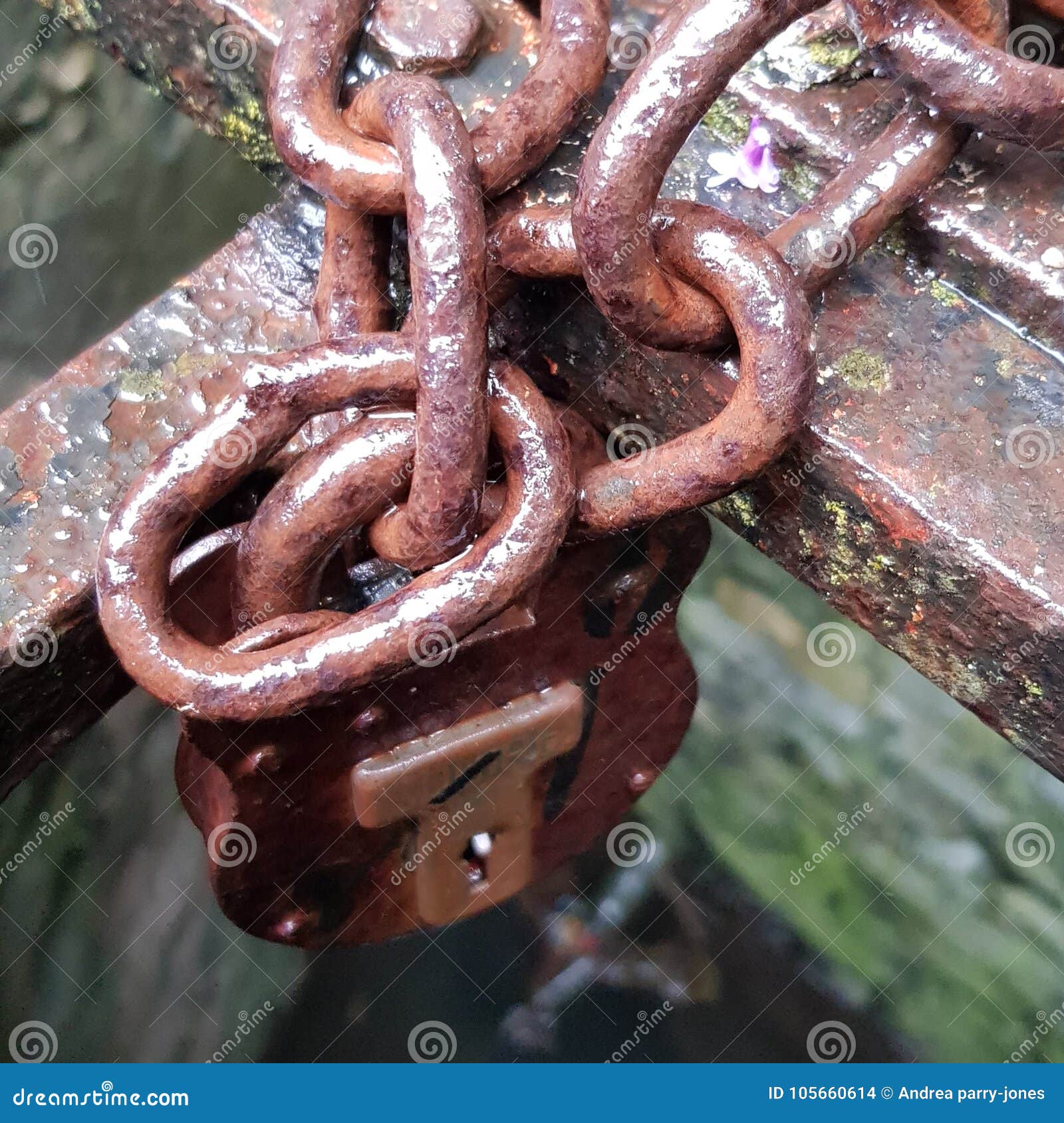 Rusty padlock stock photo. Image of chain, secure, safe - 105660614