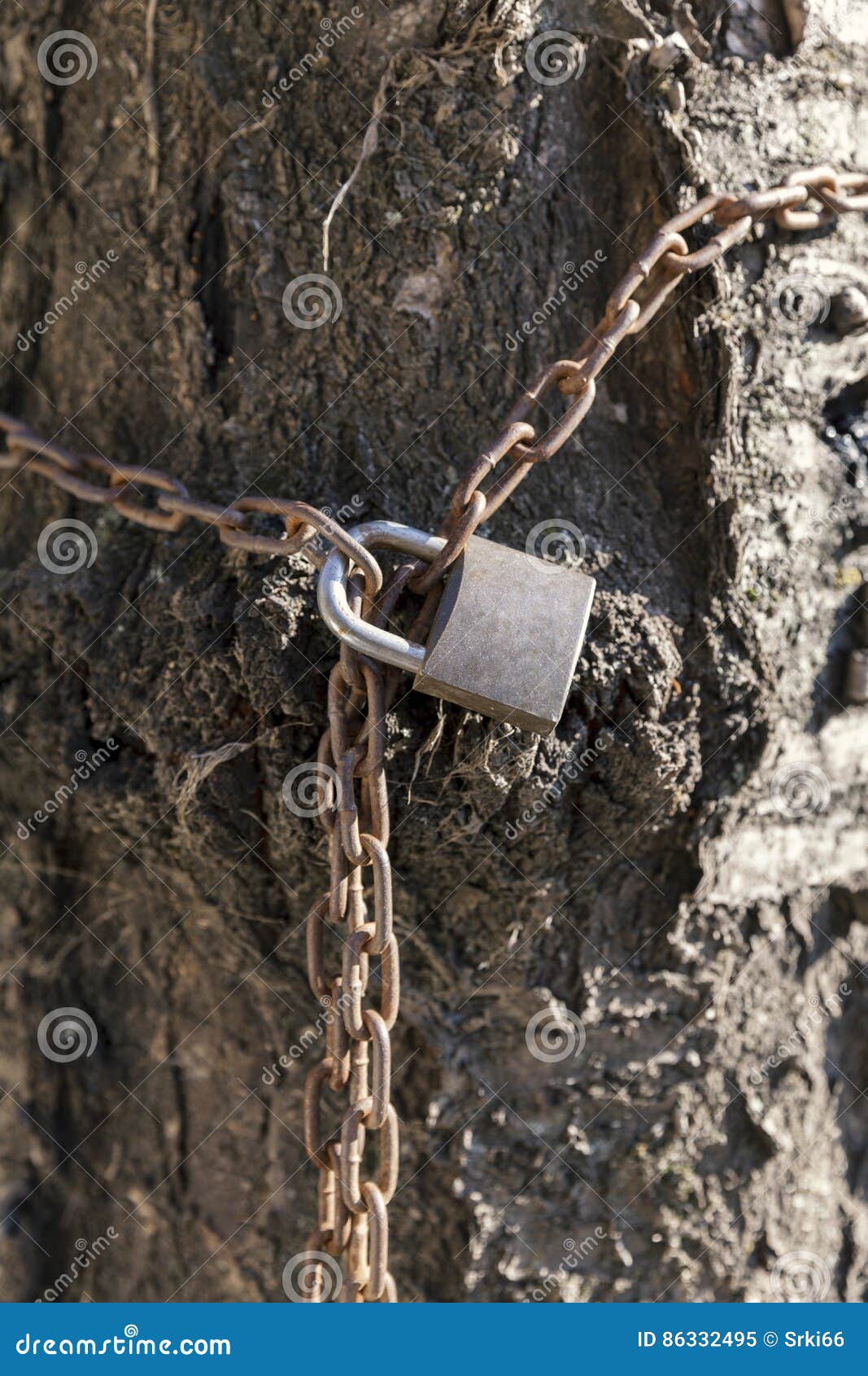 Rusty padlock and chain stock image. Image of door, ancient - 86332495