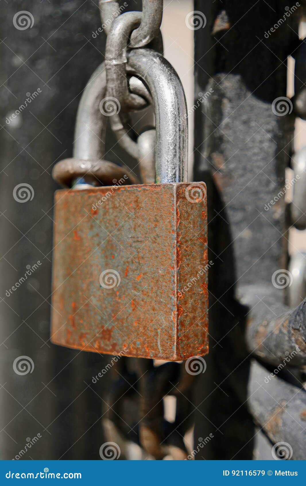 Rusty Padlock with Chain on a Metal Gate Closeup Image, Prison Law ...