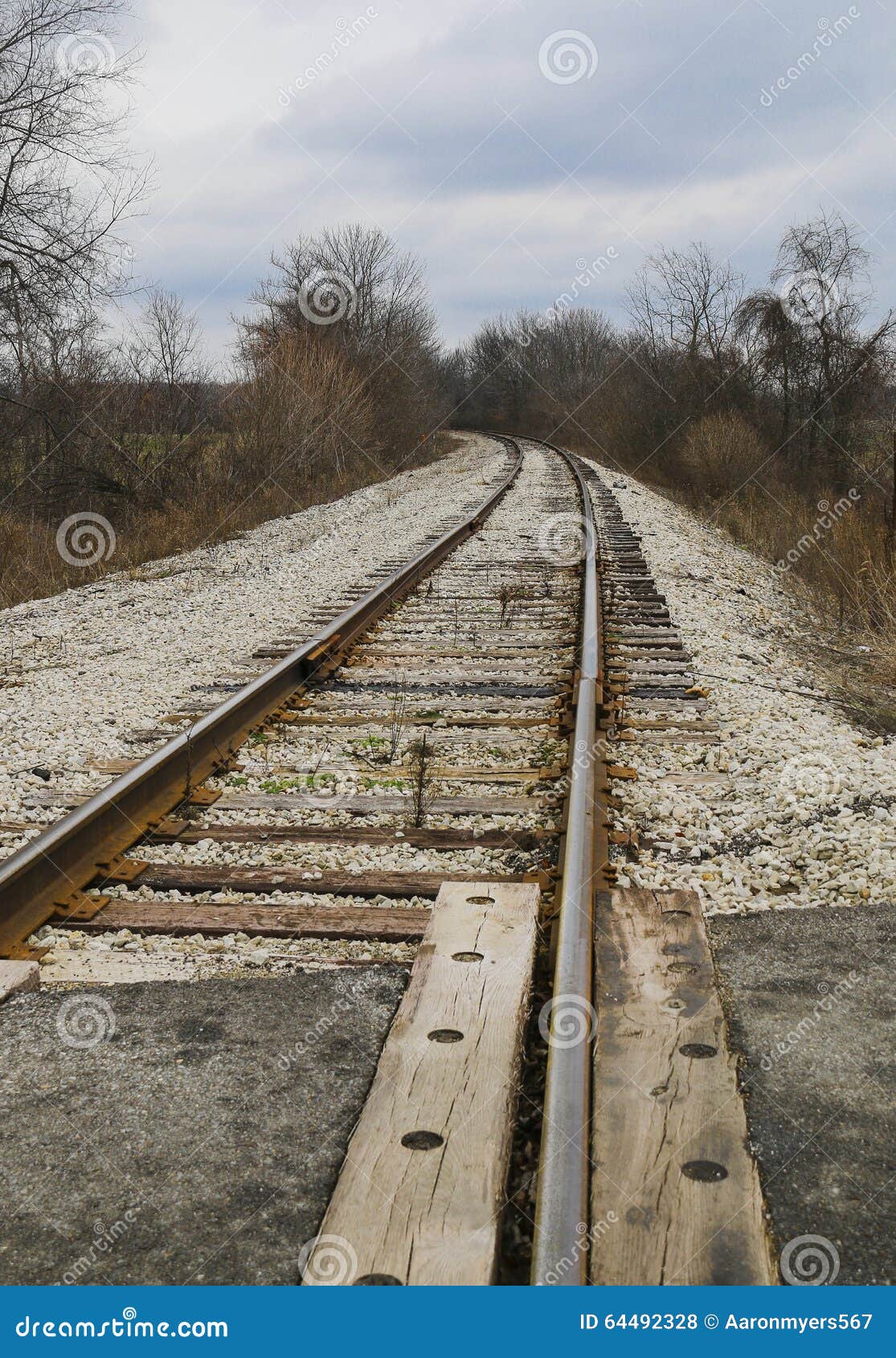 Rusty path stock photo. Image of trees, rusty, tracks - 64492328