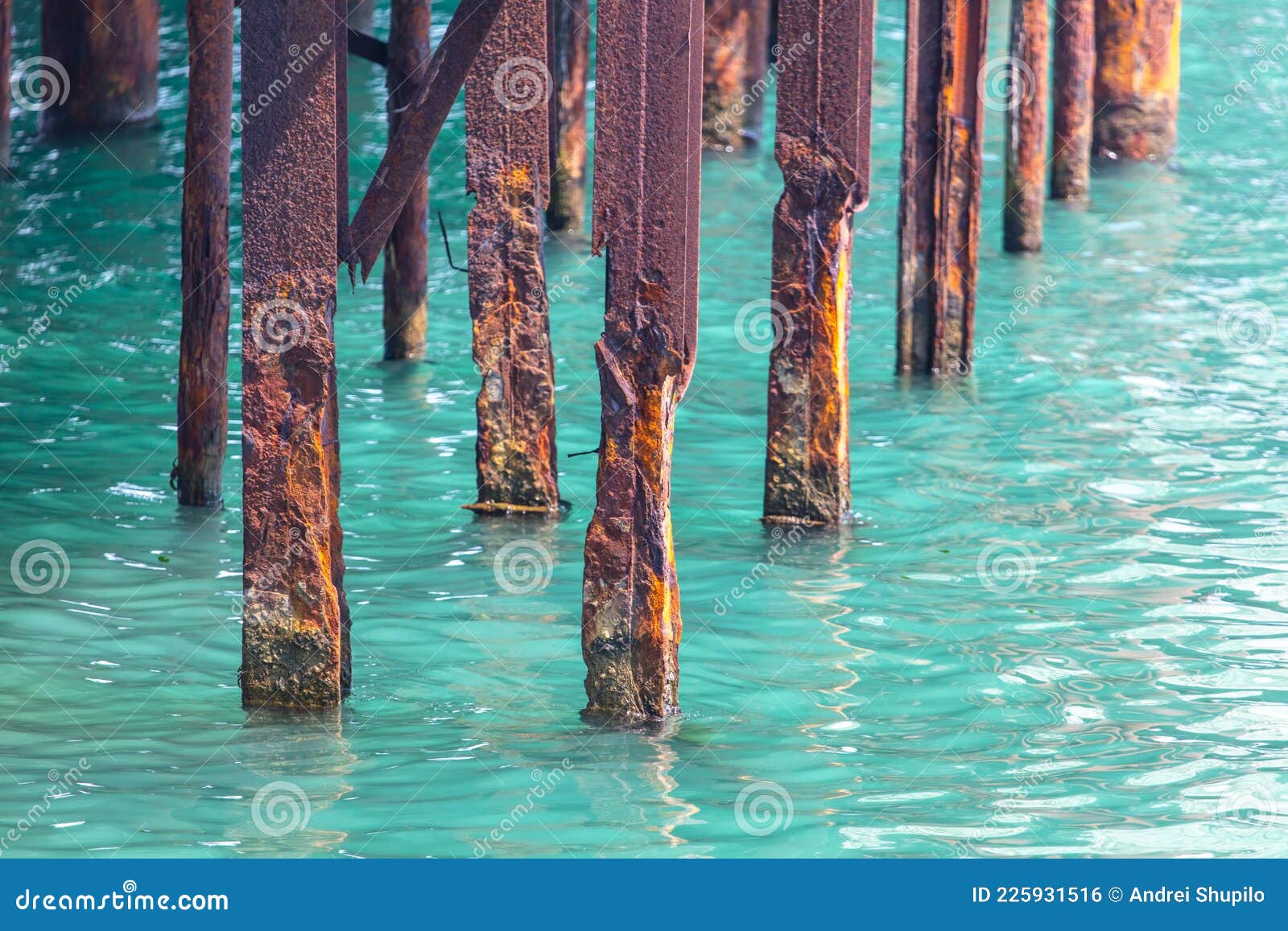 Rusty piles in the water stock photo. Image of travel - 225931516