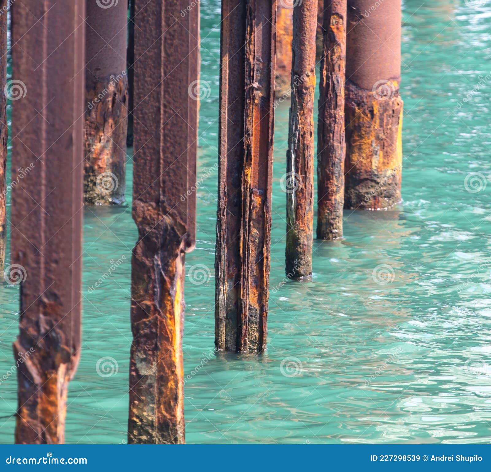 Rusty piles in the water stock image. Image of nature - 227298539