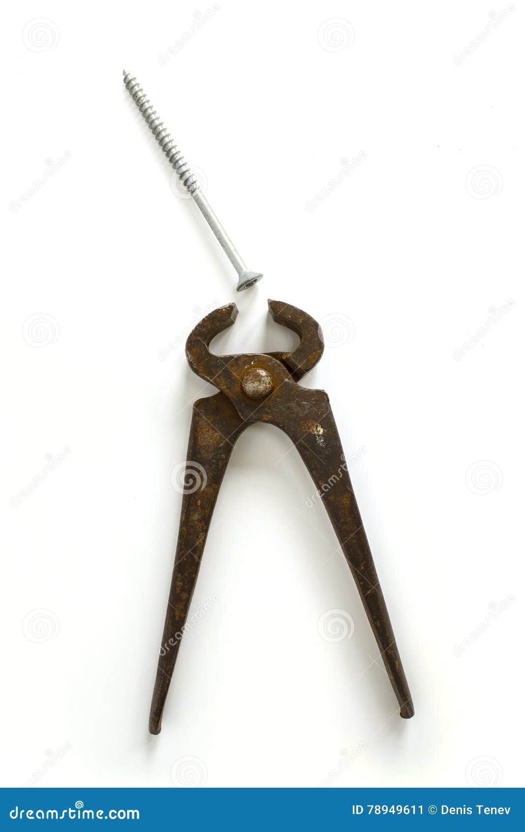 Rusty Pincer Plier Y Tornillo En Lado Izquierdo Imagen de archivo ...