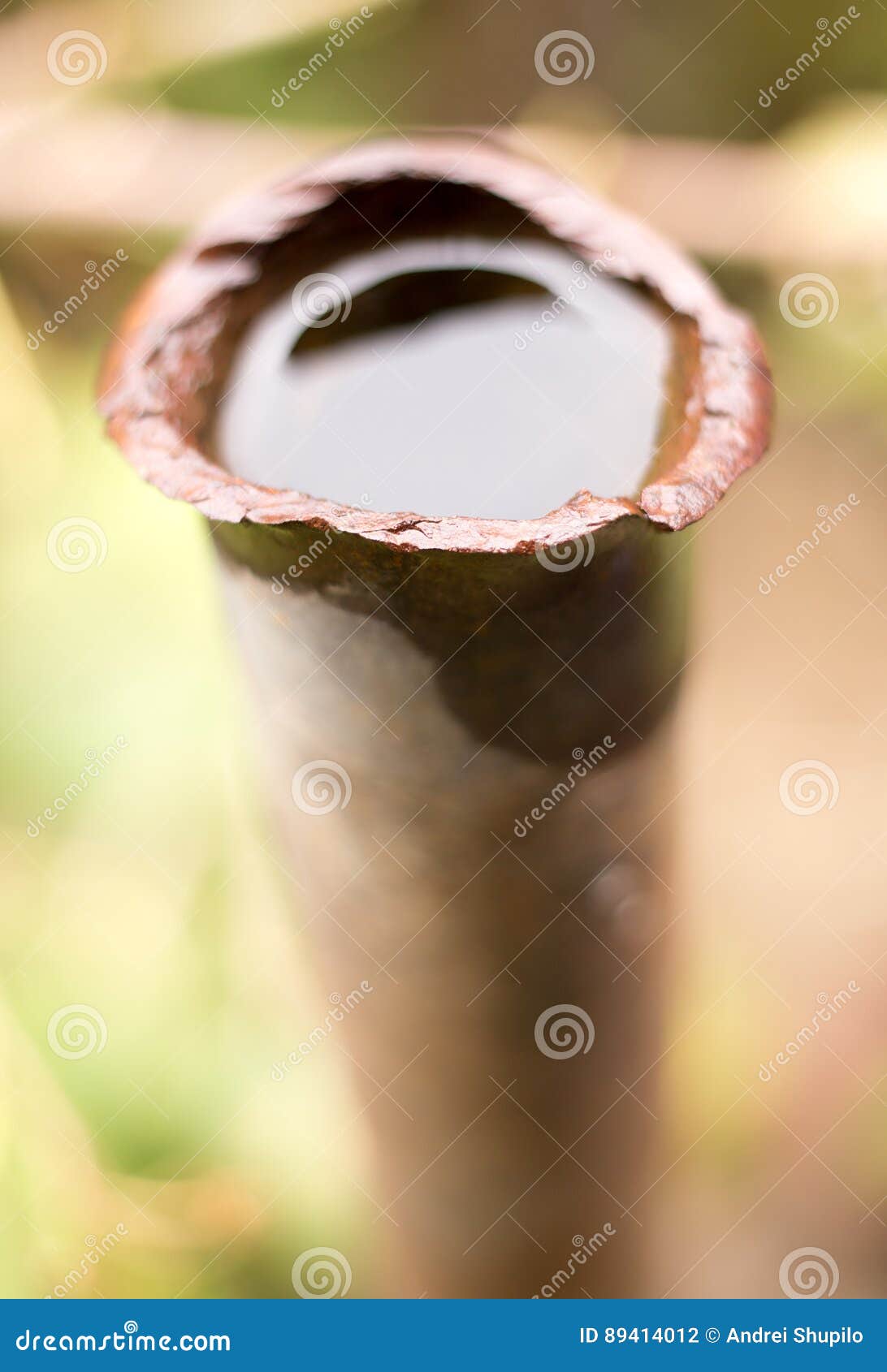 Rusty Pipe with Water in Nature Stock Photo - Image of sewage, industry ...