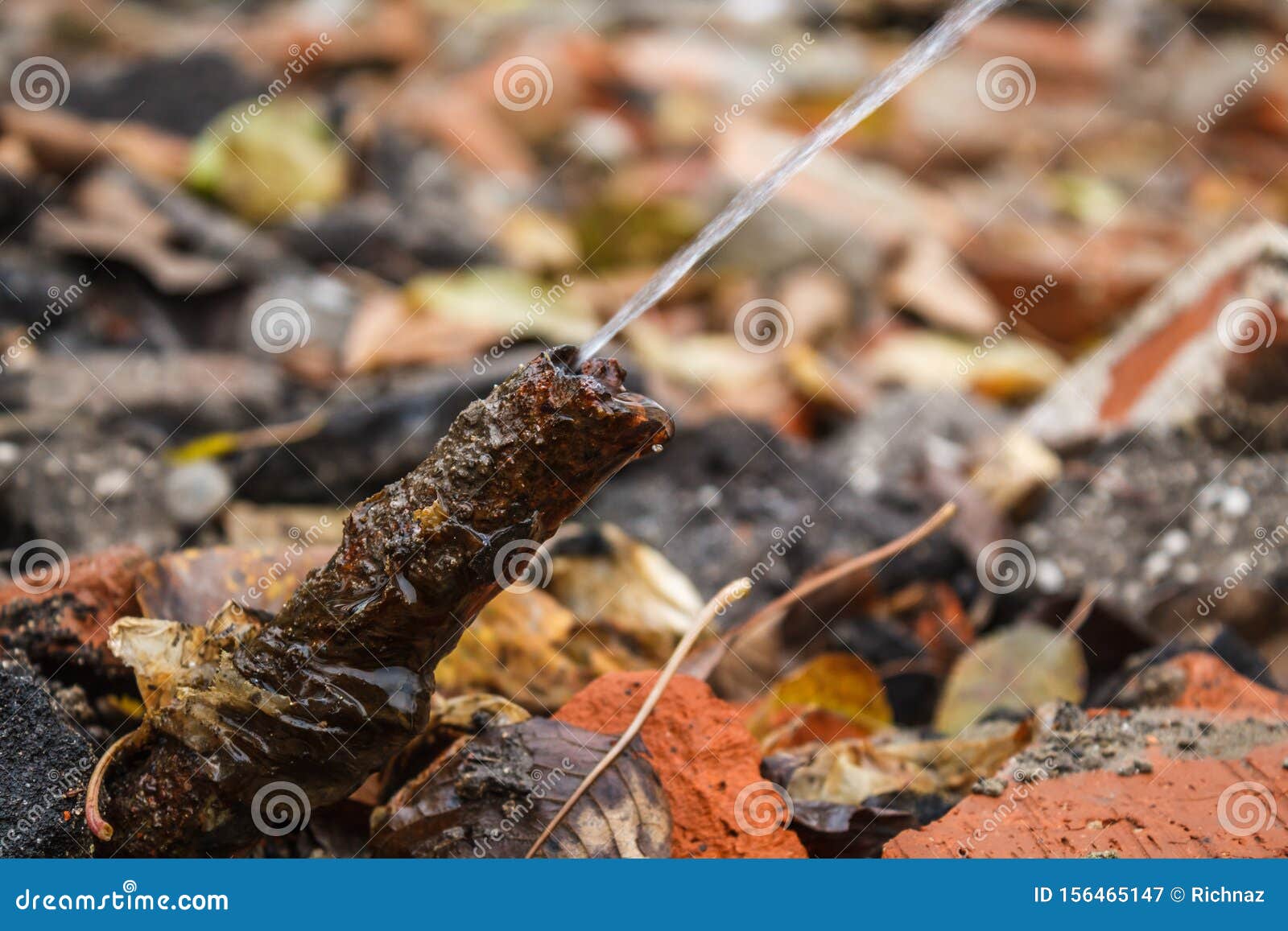 Rusty Pipe of a Water Supply System. Leak of Water through the Broken ...