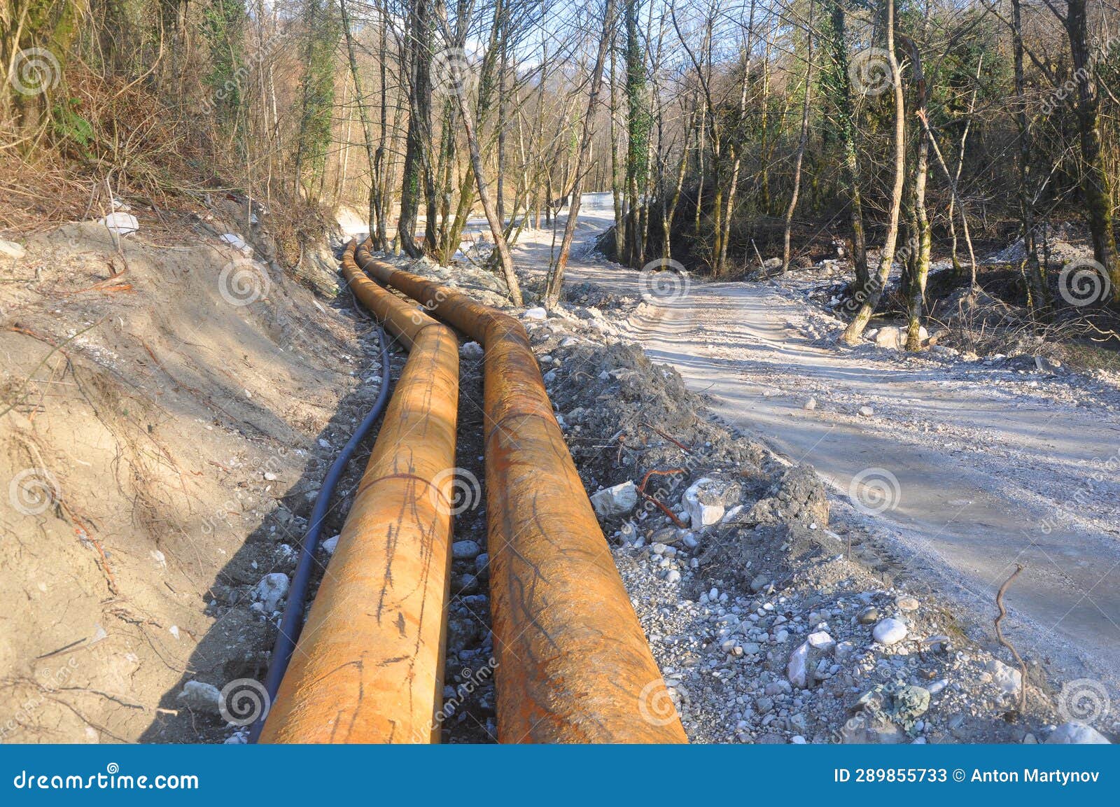 Rusty Pipes are Laid in the Forest Parallel To the Road Stock Image ...