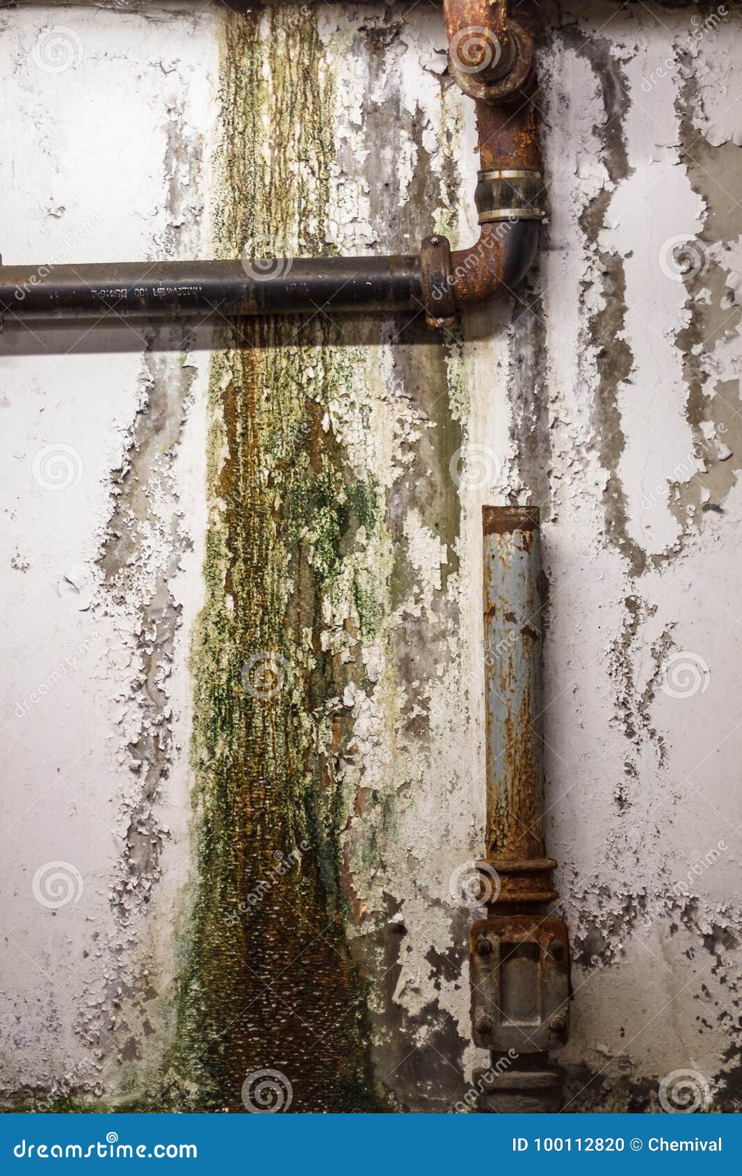 Rusty Pipes and Mould stock photo. Image of duct, flake - 100112820
