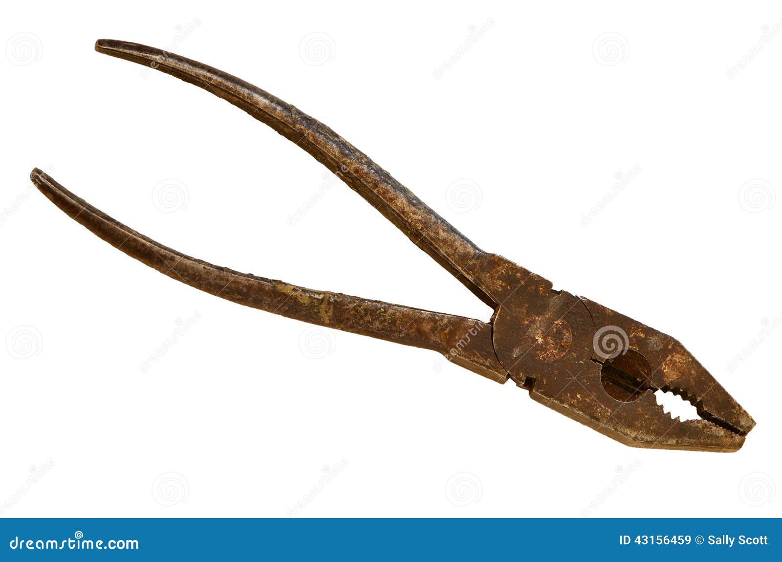 Rusty Pliers Stock Image | CartoonDealer.com #43156459