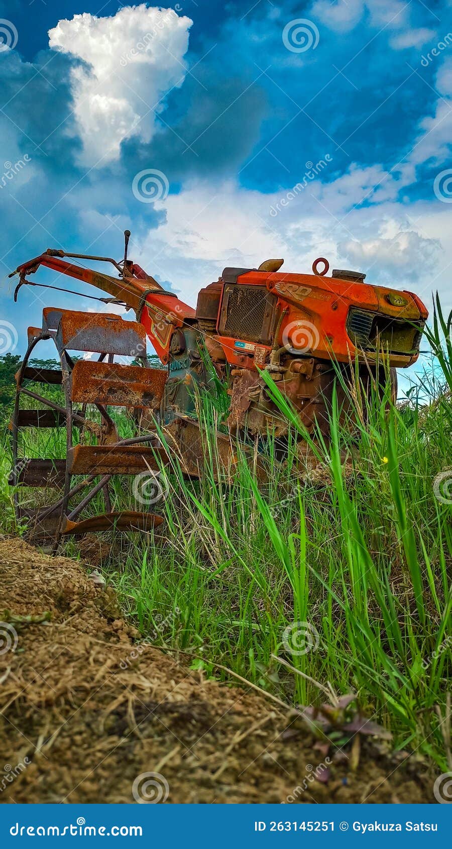 Rusty plow in paddy field stock image. Image of transport - 263145251