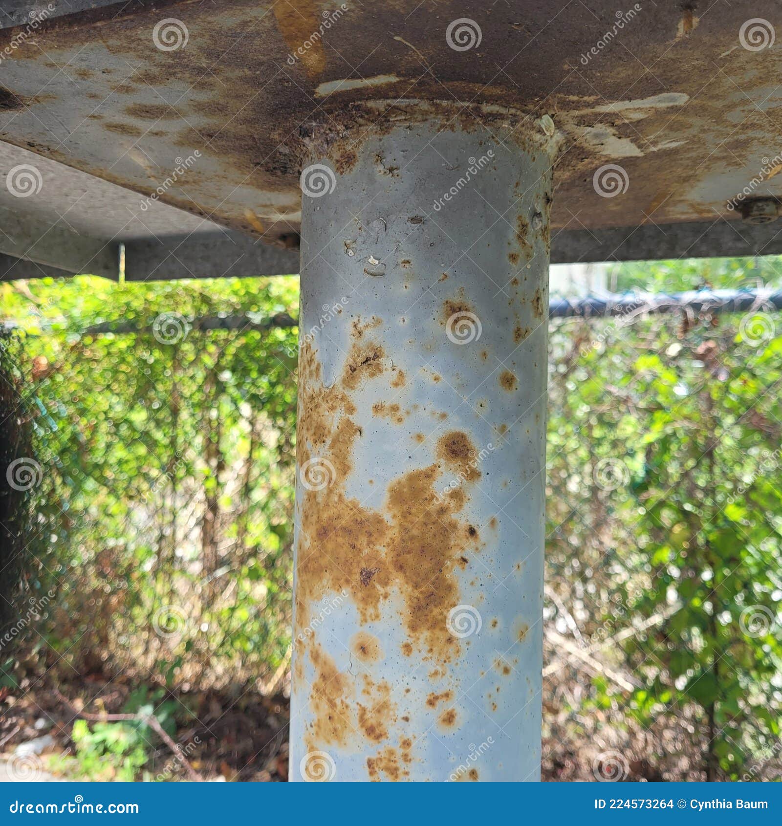 Rusty Pole By The Golden Gate Bridge Stock Photography | CartoonDealer ...