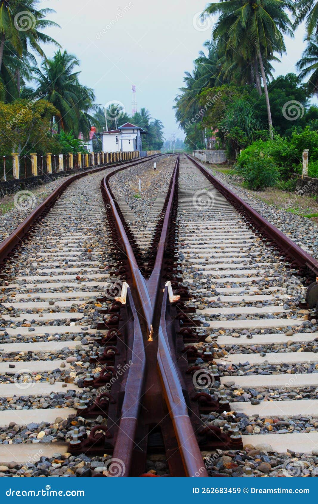Rusty Railroad Tracks in Krueng Mane Stock Image - Image of tree, plant ...