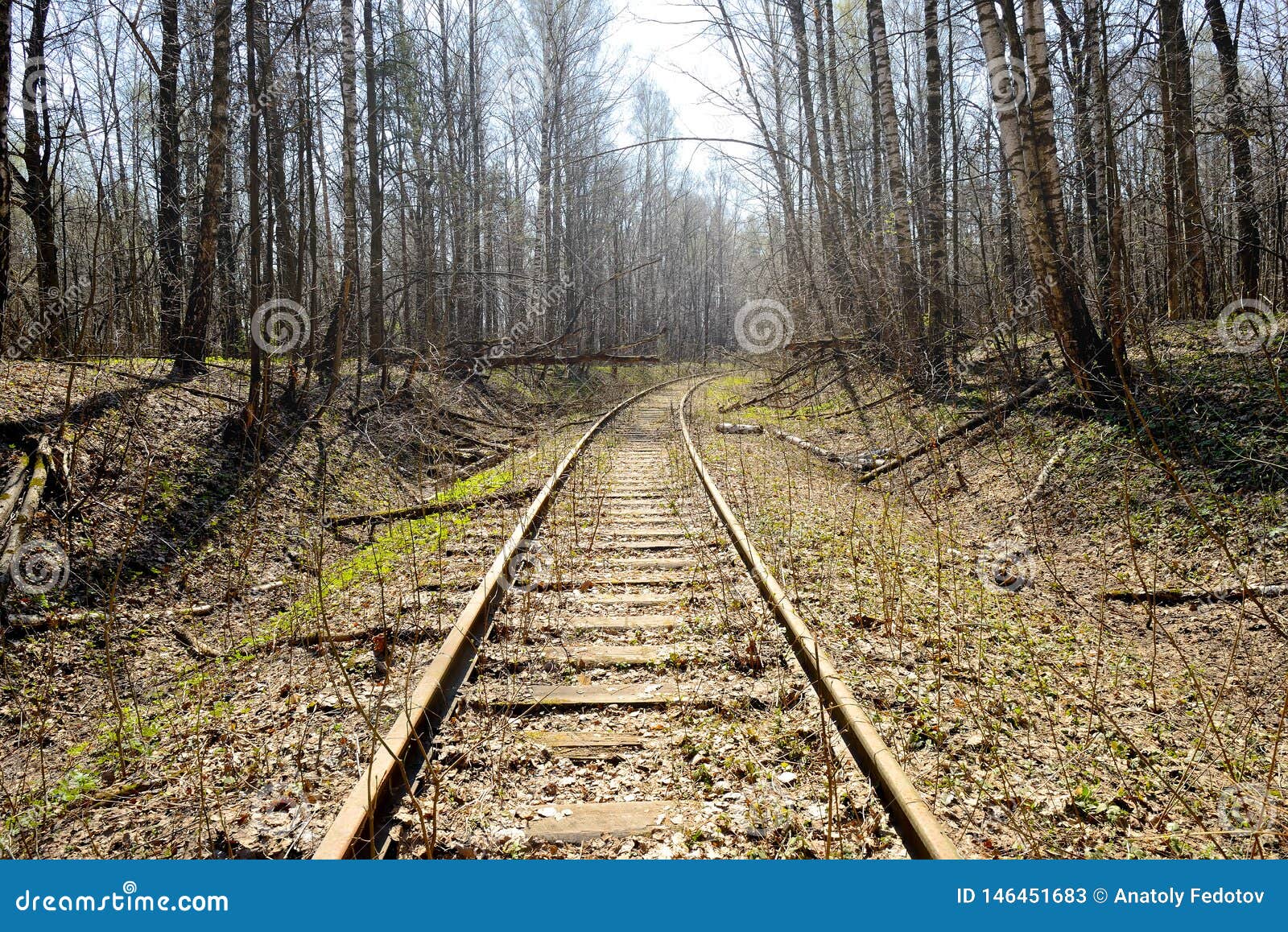 Rusty Rails of the Abandoned Railroad in the Forest Stock Image - Image ...