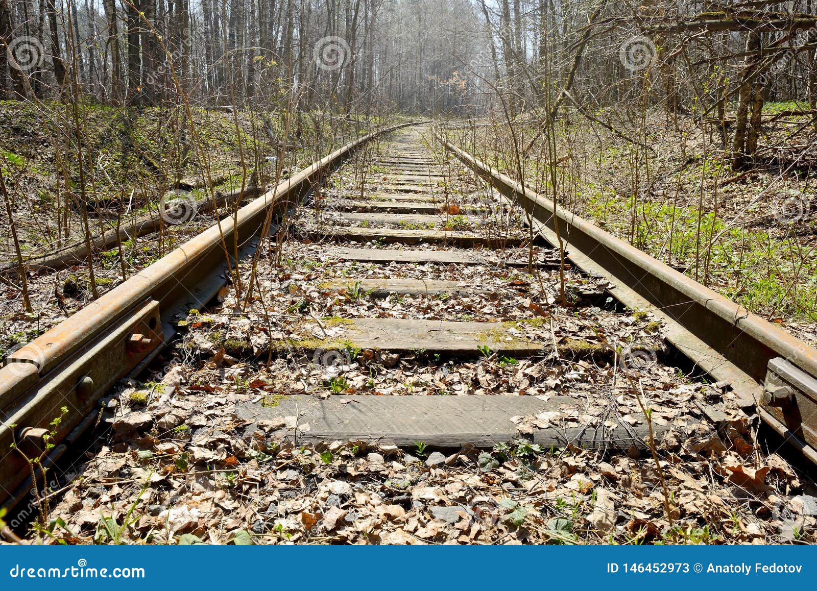 Rusty Rails of the Abandoned Railroad in the Forest Stock Image - Image ...