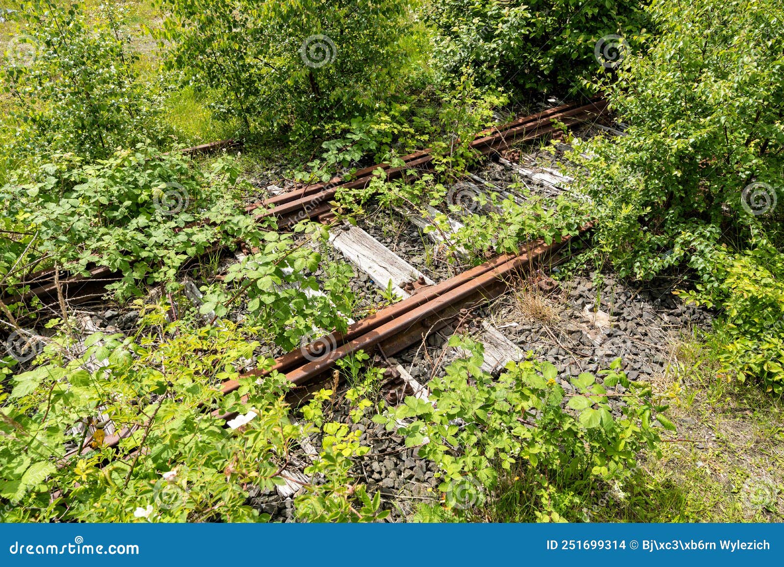 Rusty rails stock photo. Image of transport, railroad - 251699314
