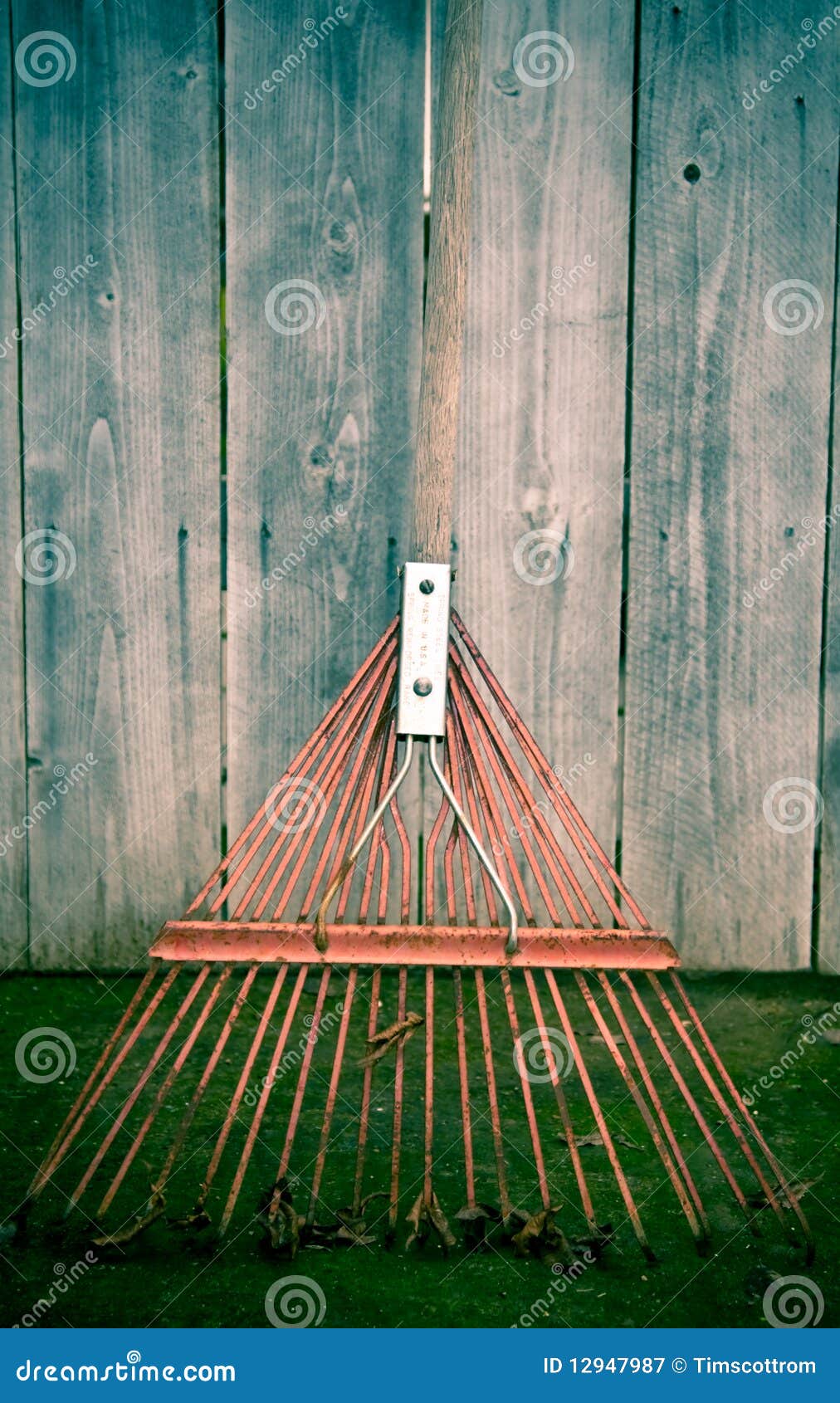 Rusty rake stock image. Image of equipment, backyard - 12947987