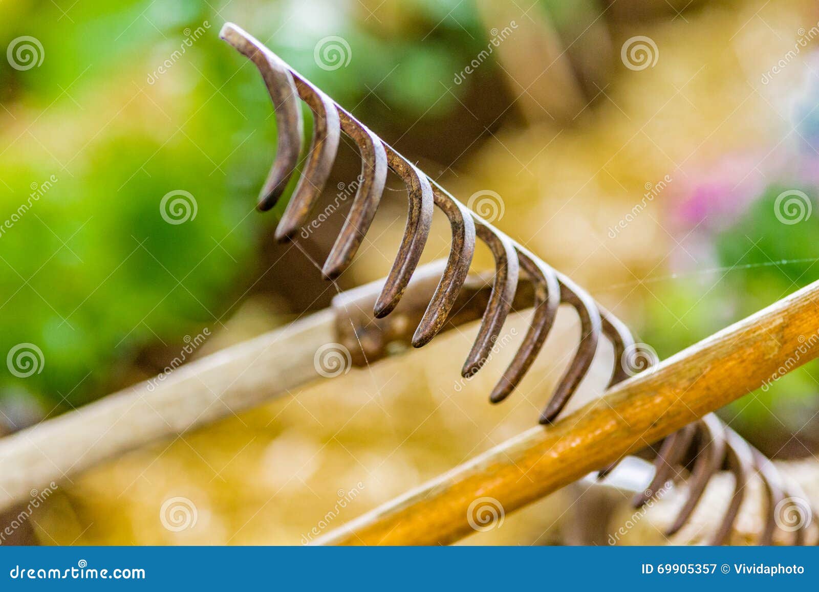 Rusty rake stock image. Image of wood, work, agriculture - 69905357