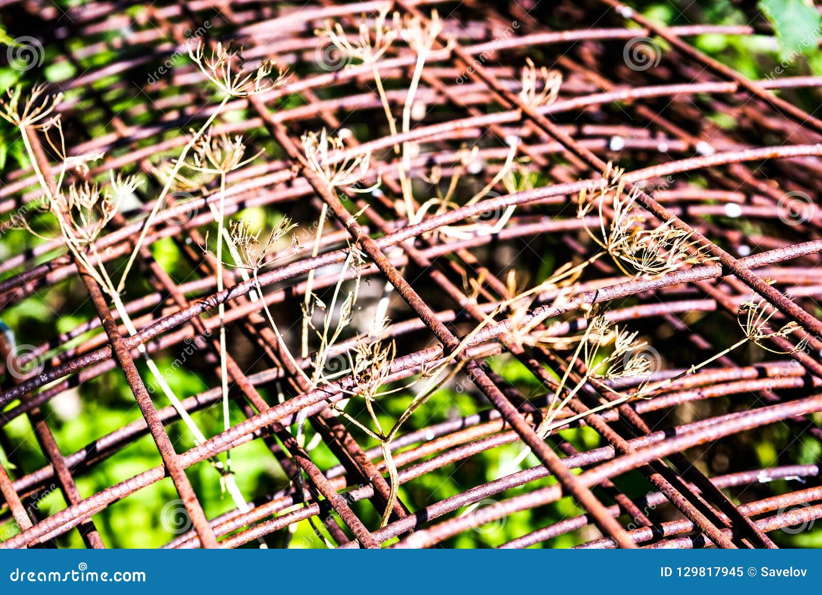 Rusty Reinforced Mesh in the Grass Stock Image - Image of close ...