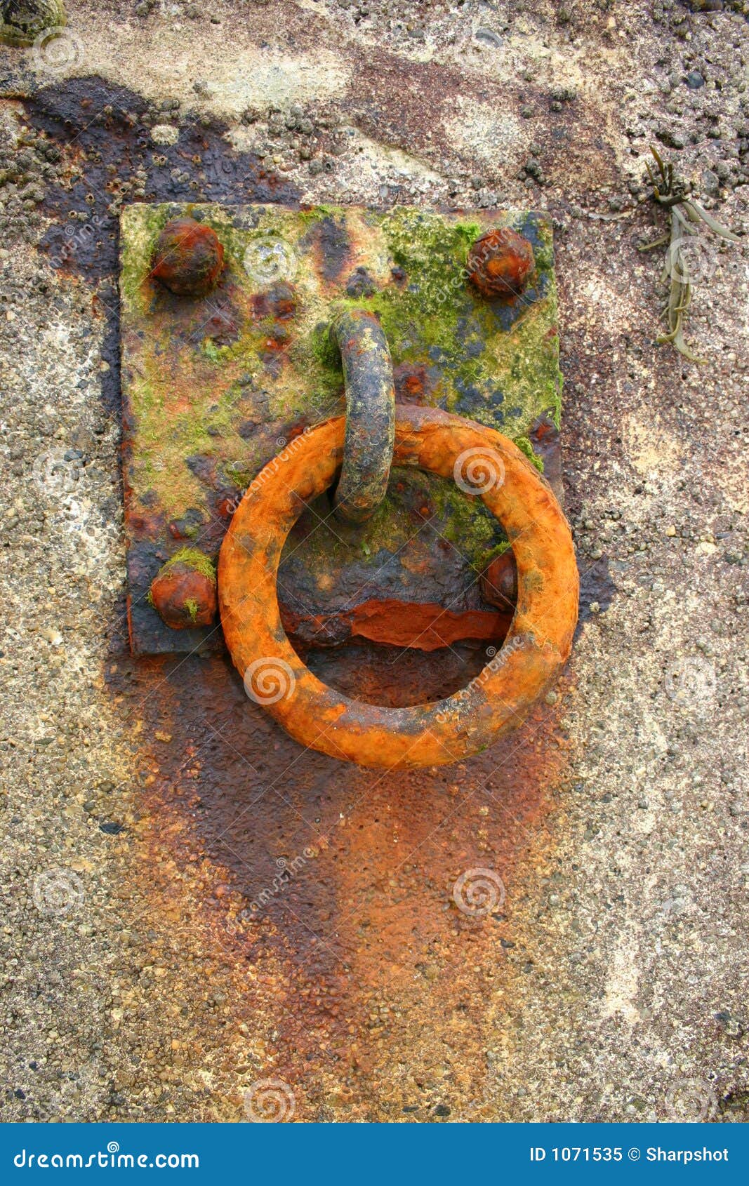 Rusty ring stock image. Image of seaside, link, sturdy - 1071535