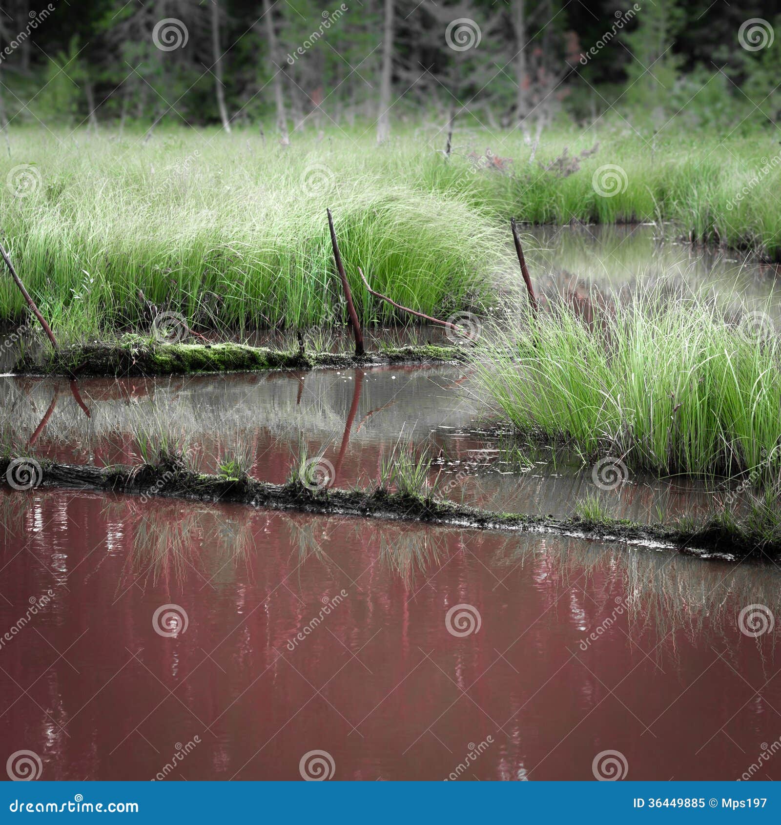 Rusty river stock image. Image of unreal, sedge, vegetation - 36449885