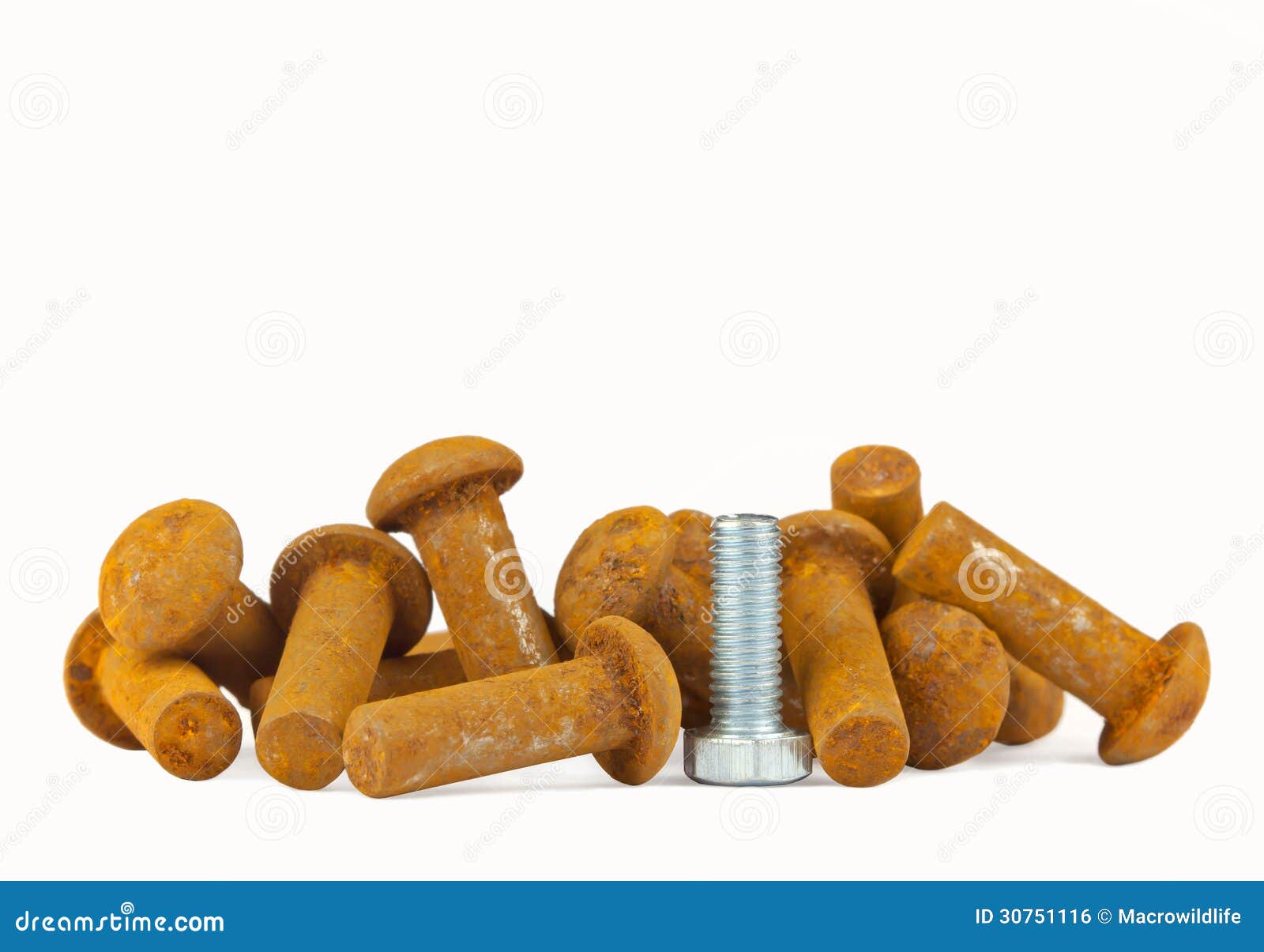Rusty Rivets and Fine Bolt Isolated Stock Photo - Image of elements ...