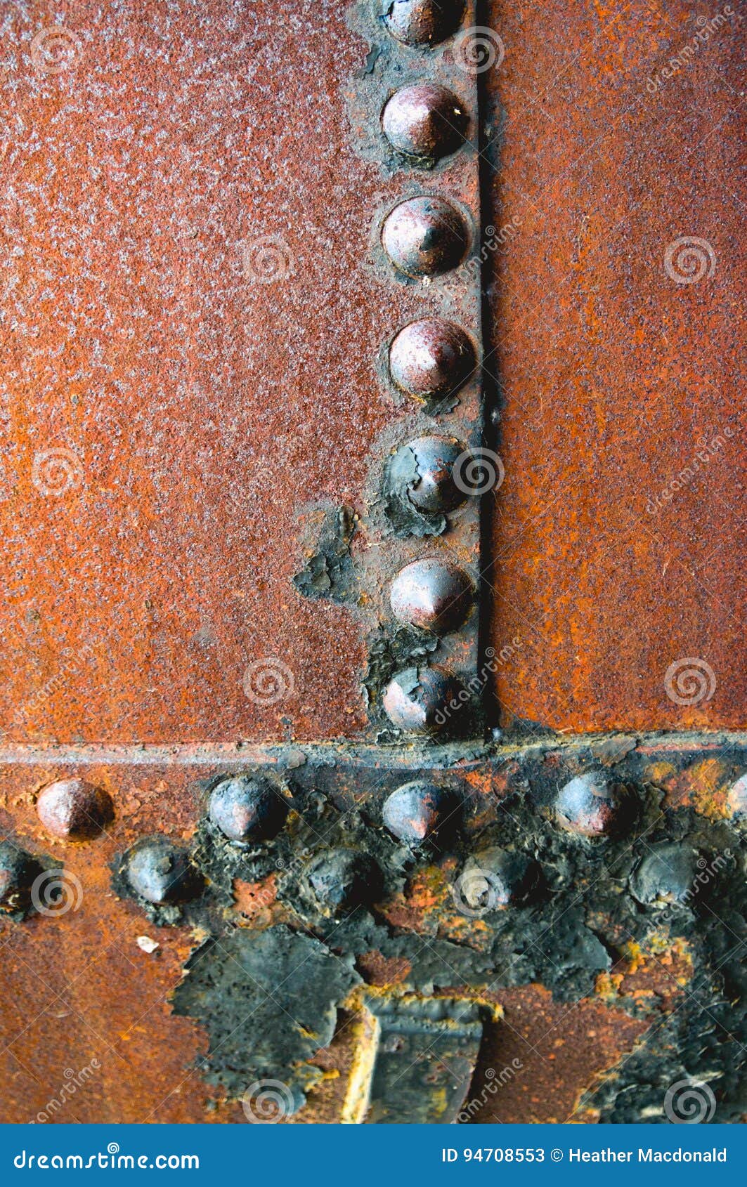 Rusted Metal Rivets Screws