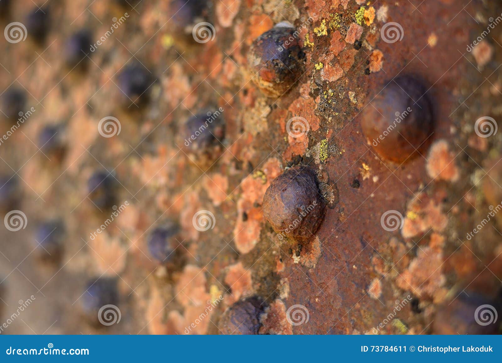 Rusty Rivets stock image. Image of bridge, rivets, rusty - 73784611