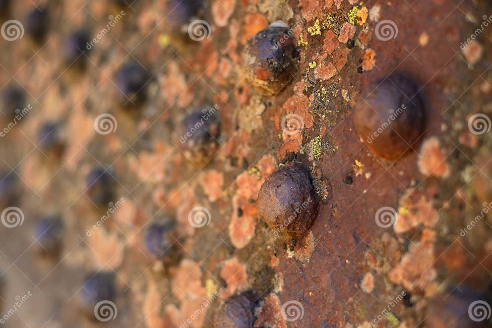 Rusty Rivets stock image. Image of bridge, rivets, rusty - 73784611