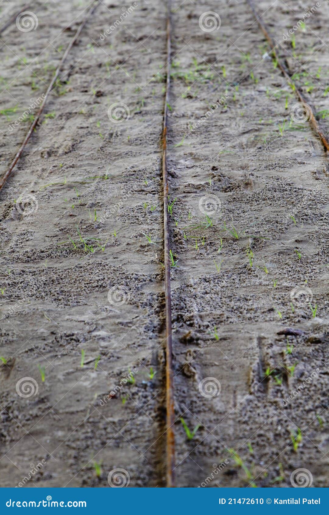 Rusty Rods Hard Moist Sand Texture Lines Stock Photo - Image of rusty ...
